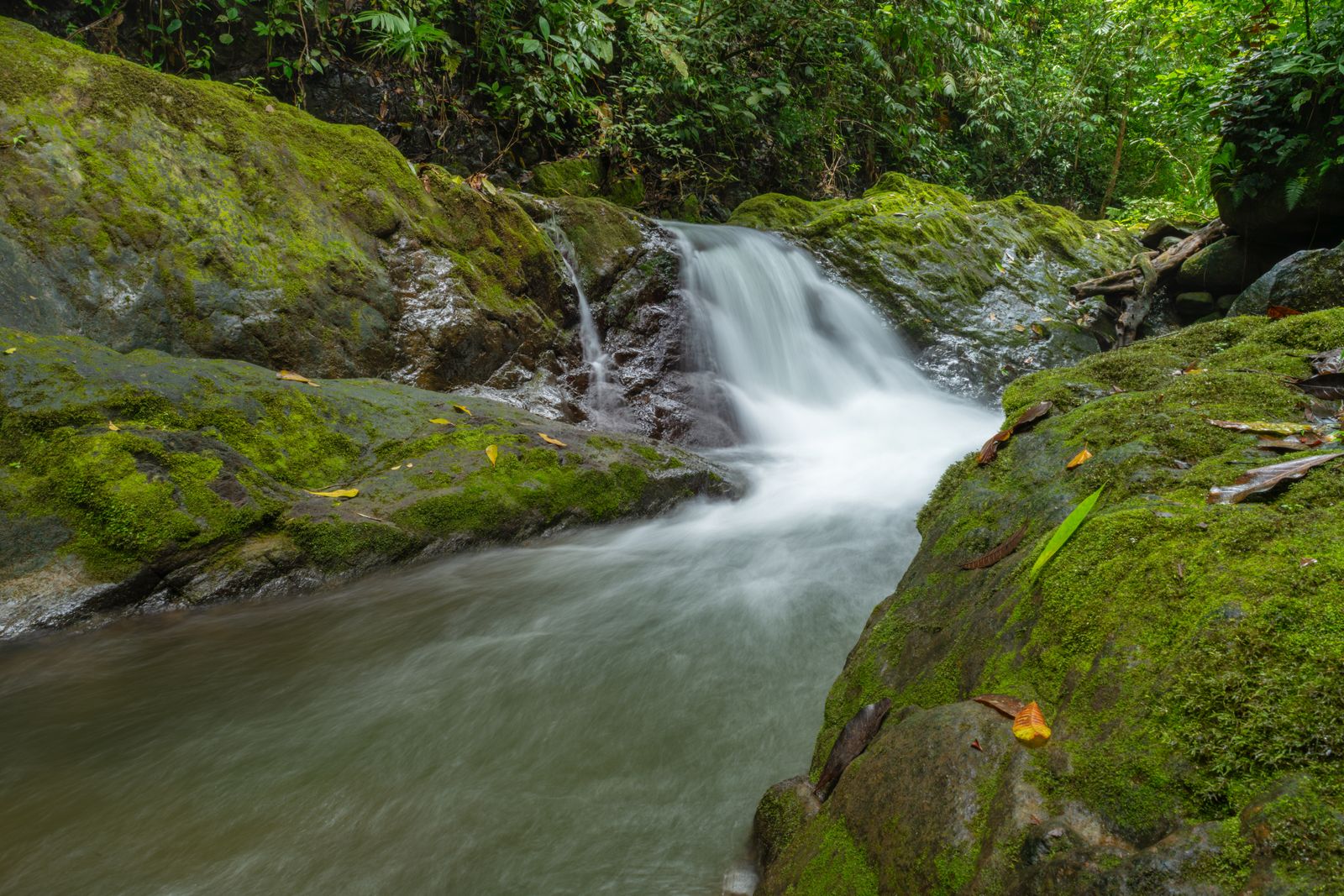 Water Flow Photos, Download The BEST Free Water Flow Stock Photos & HD ...