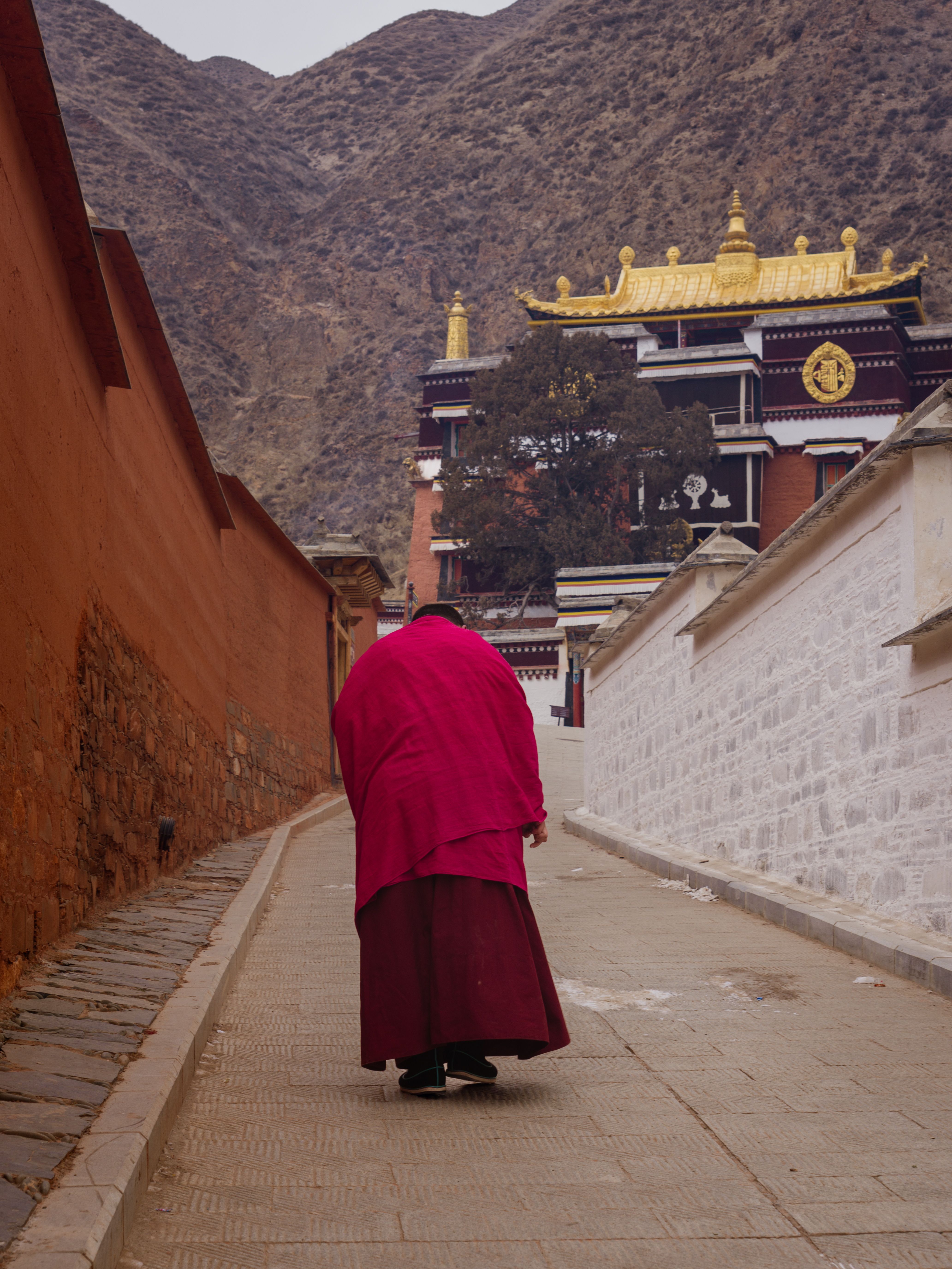 Monk Walking Towards Tibetan Monastery · Free Stock Photo