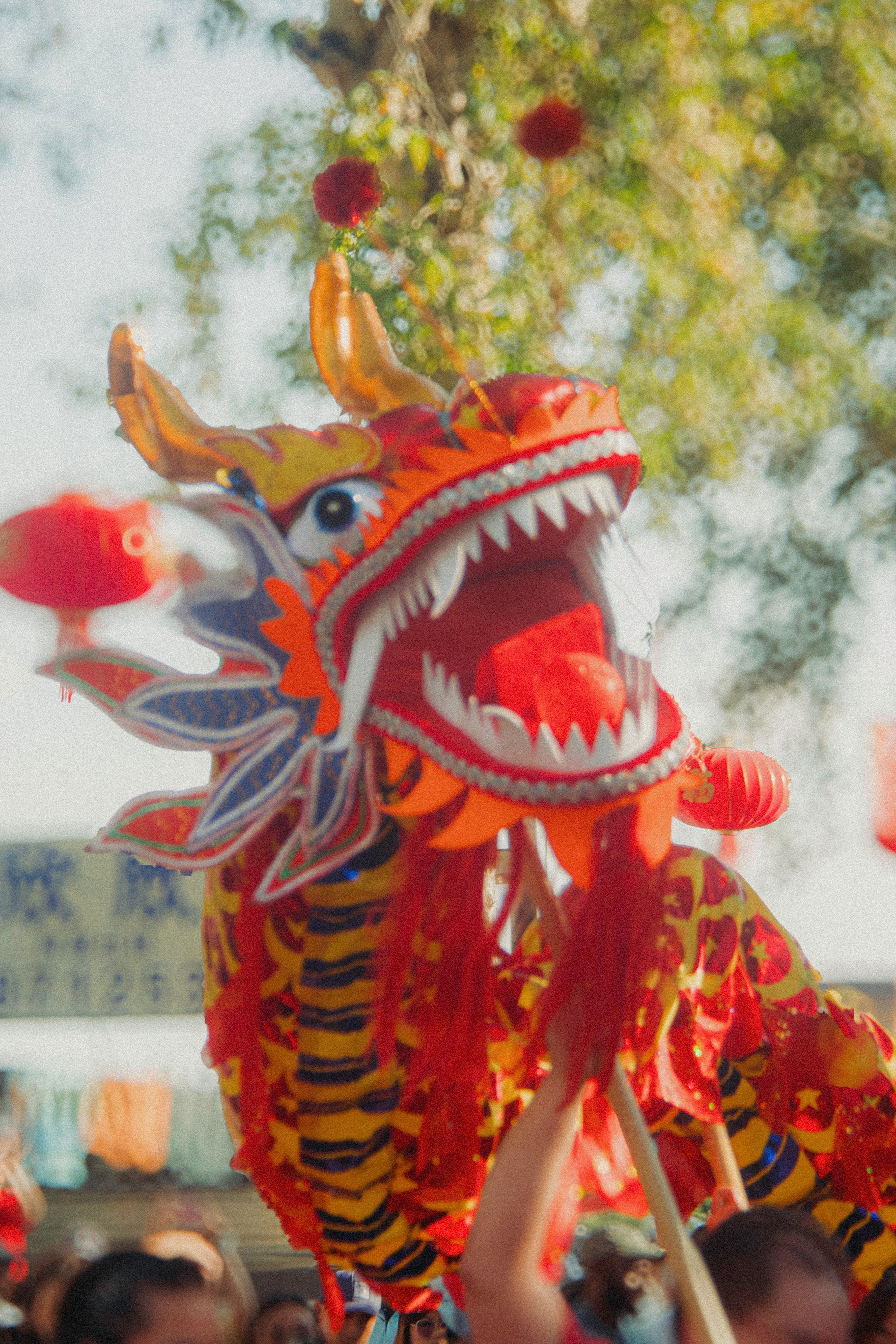 Dragon Head Photos, Download The BEST Free Dragon Head Stock Photos ...