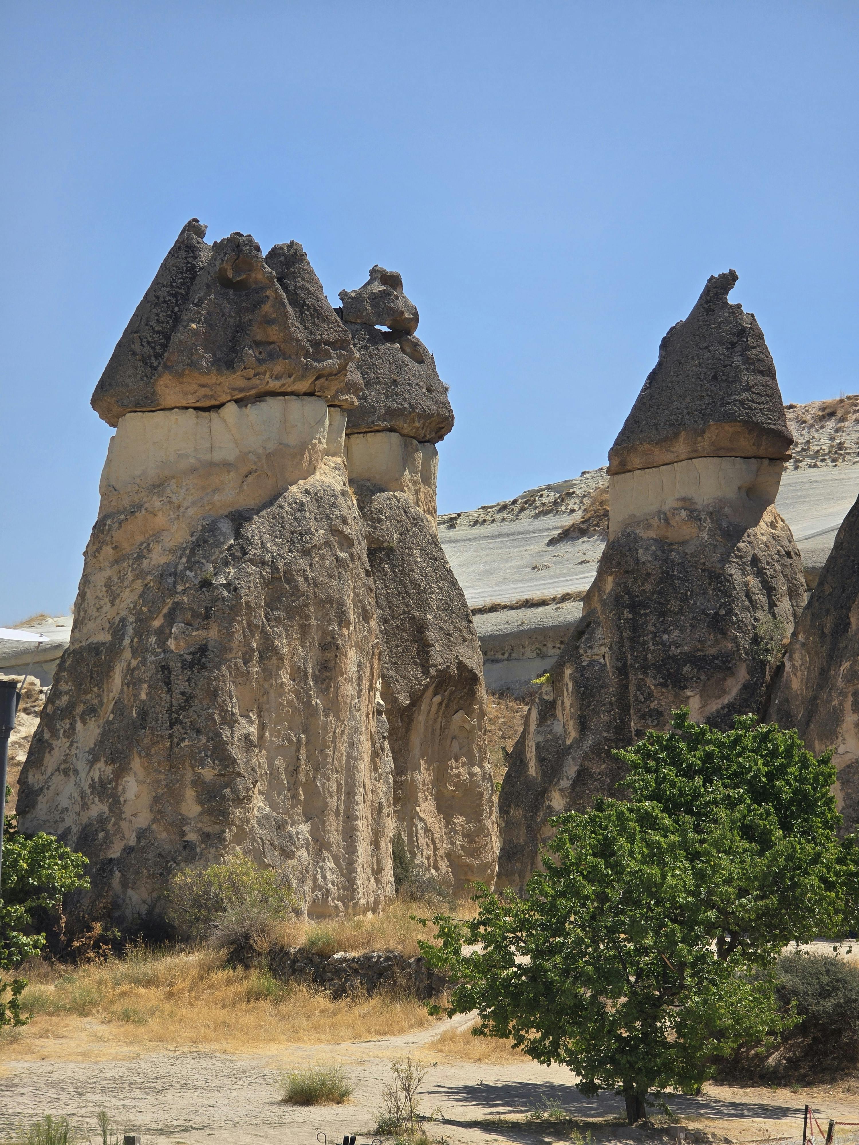 Tuff Photos, Download The BEST Free Tuff Stock Photos & HD Images