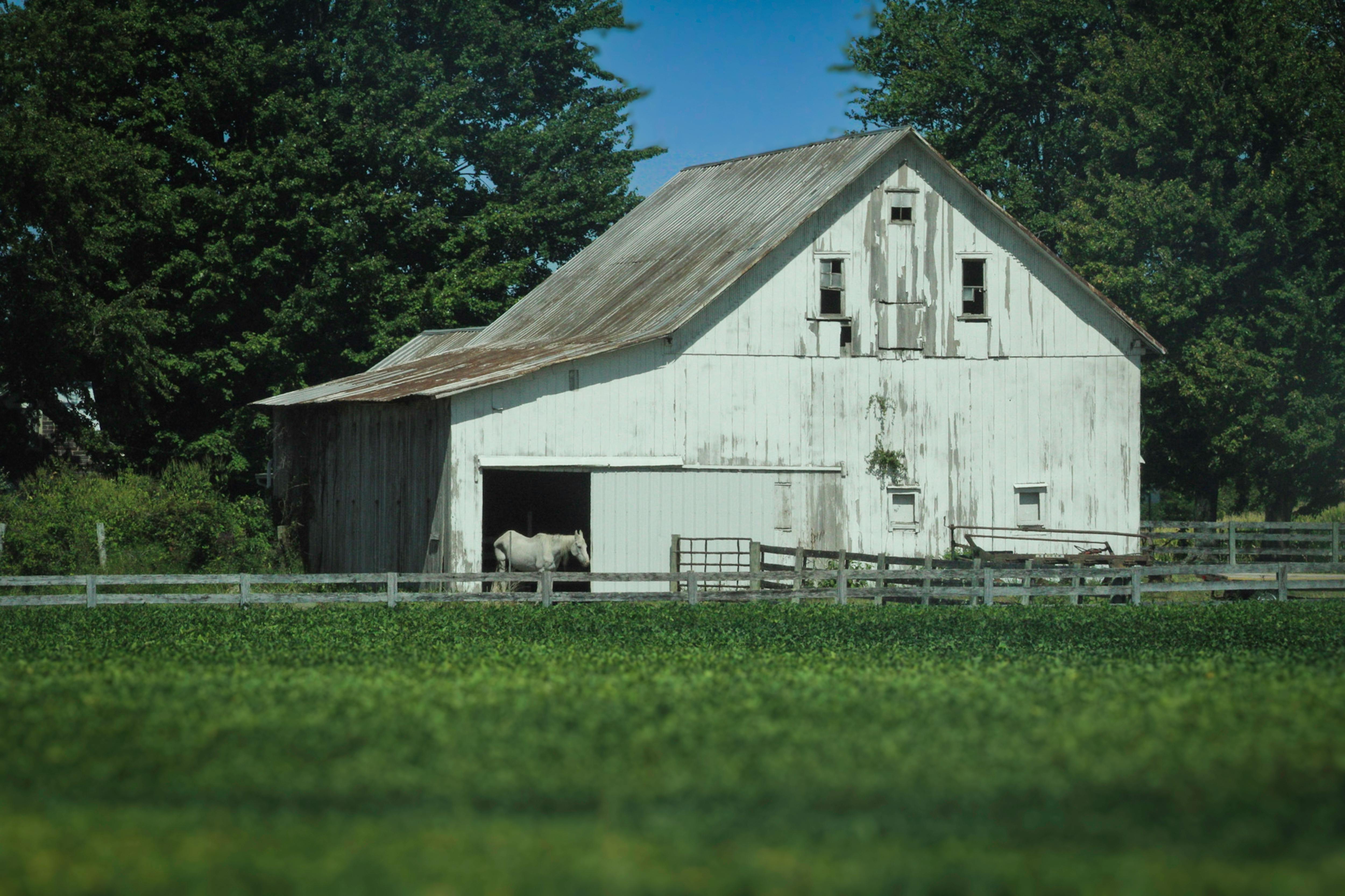 Old Barn Photos, Download The BEST Free Old Barn Stock Photos & HD Images