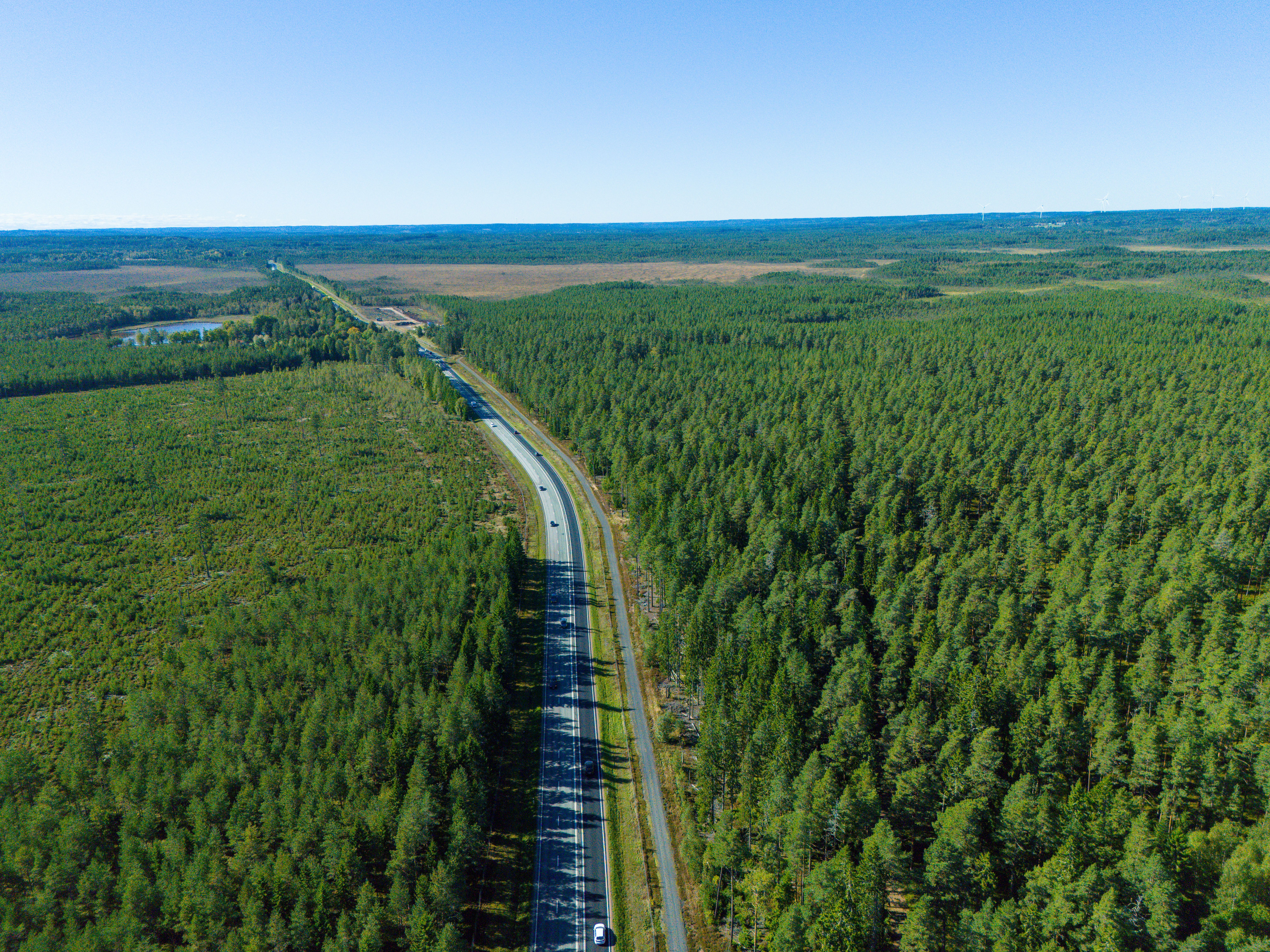 Scenic Aerial View of Swedish Forest Road · Free Stock Photo