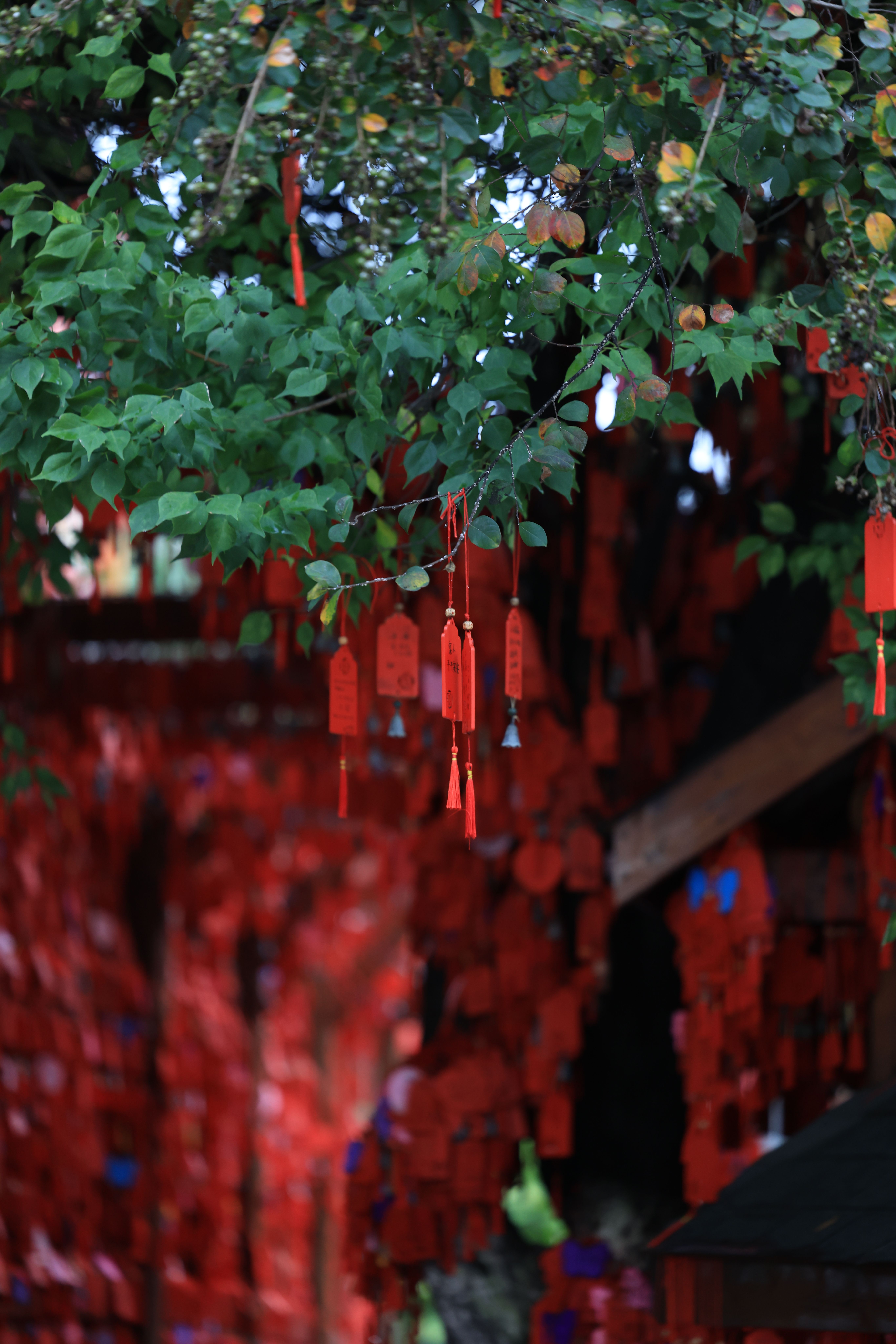Vibrant Red Asian Prayer Tags Under Lush Greenery · Free Stock Photo