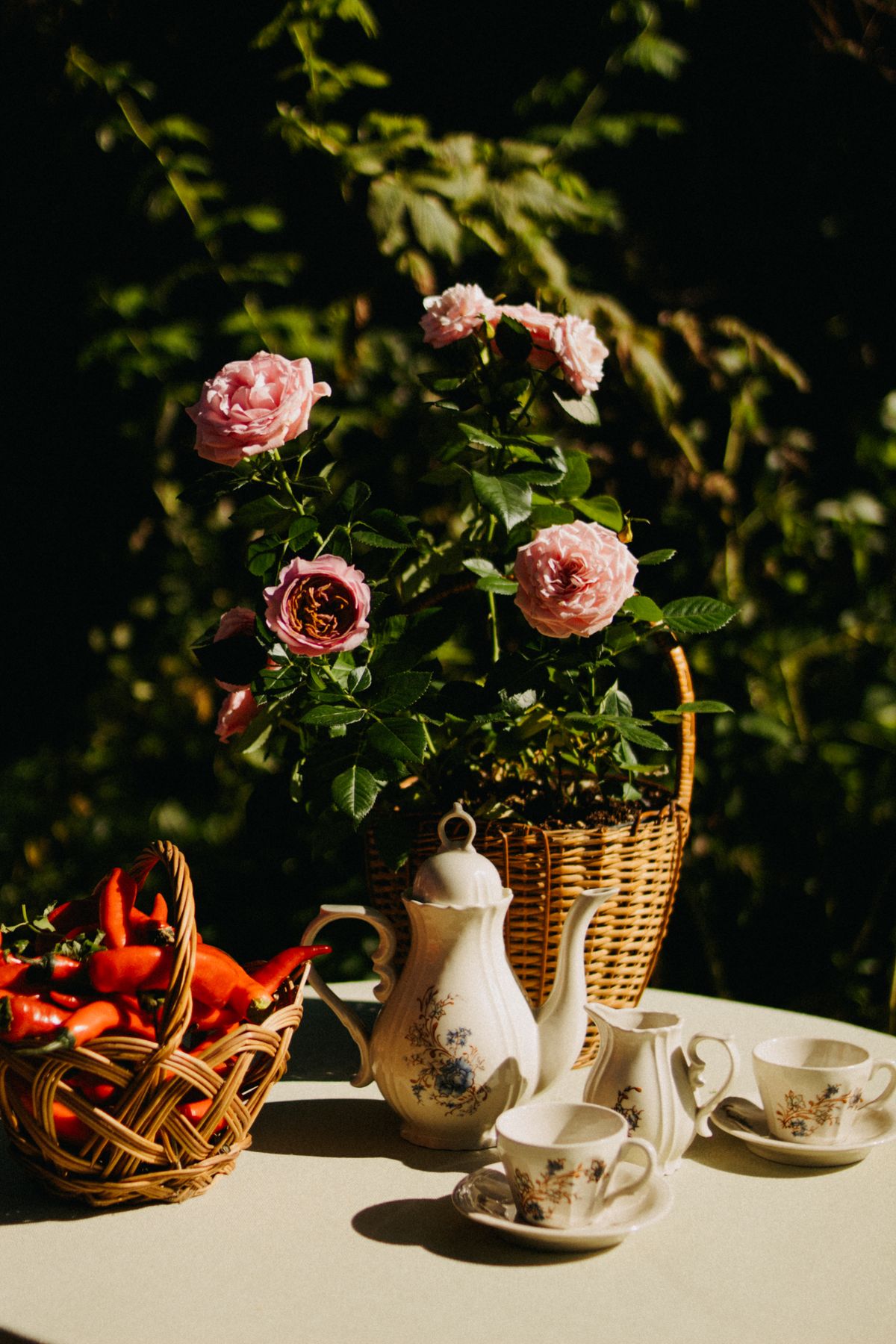 Morning Tea Photos, Download The BEST Free Morning Tea Stock Photos ...