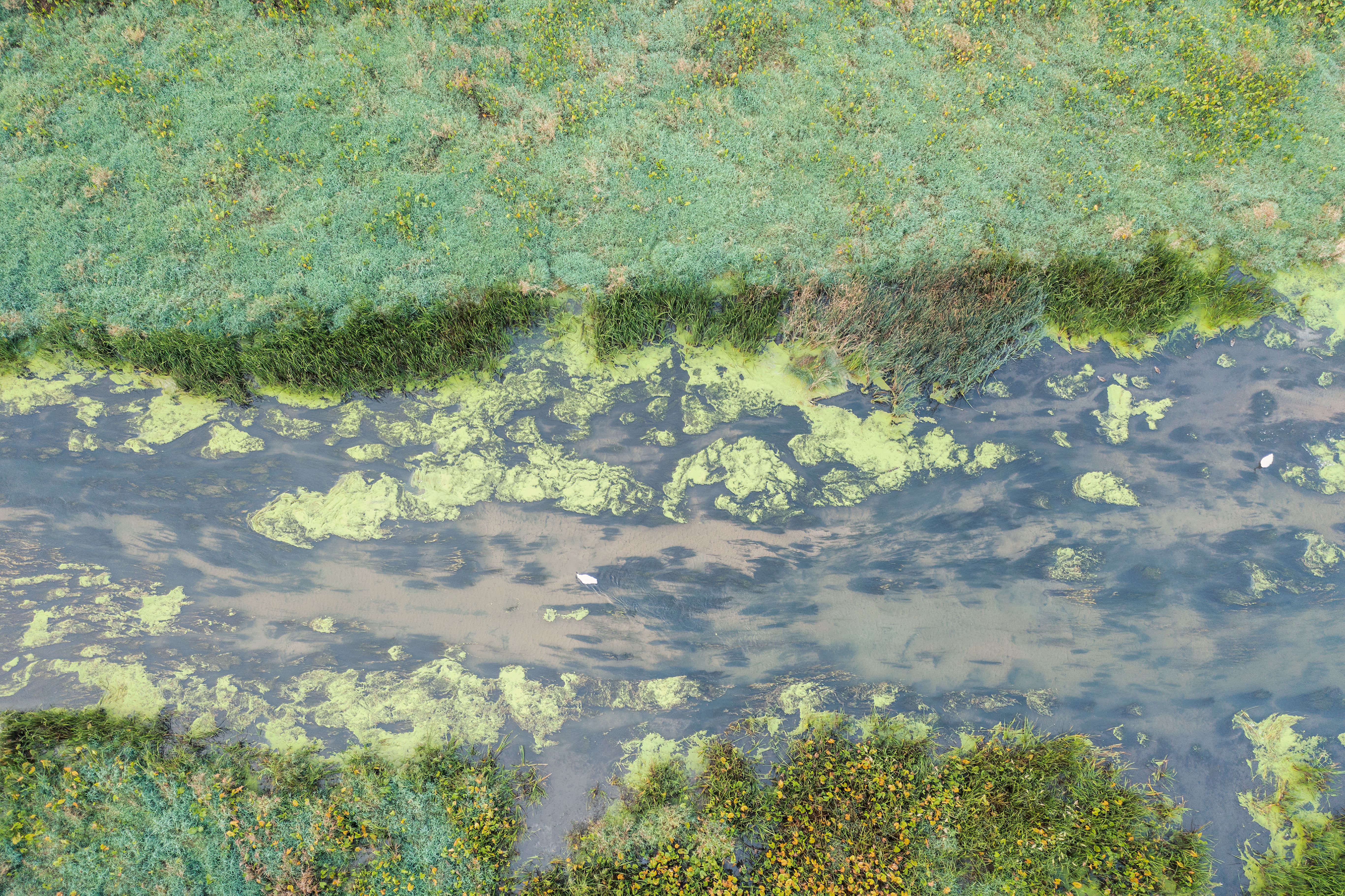 Polluted River Photos, Download The BEST Free Polluted River Stock ...