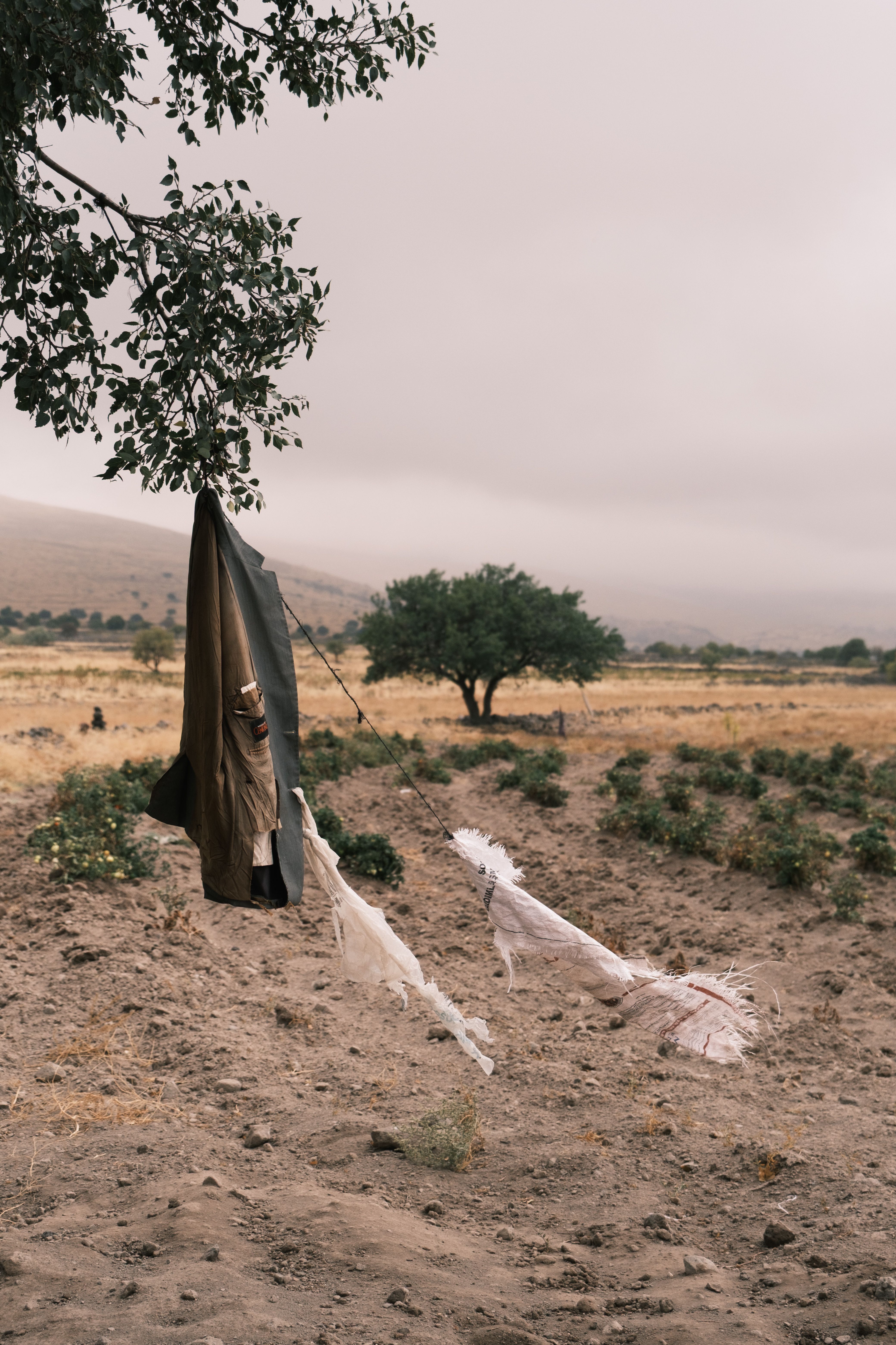 Calm Earthy Photos, Download The BEST Free Calm Earthy Stock Photos ...