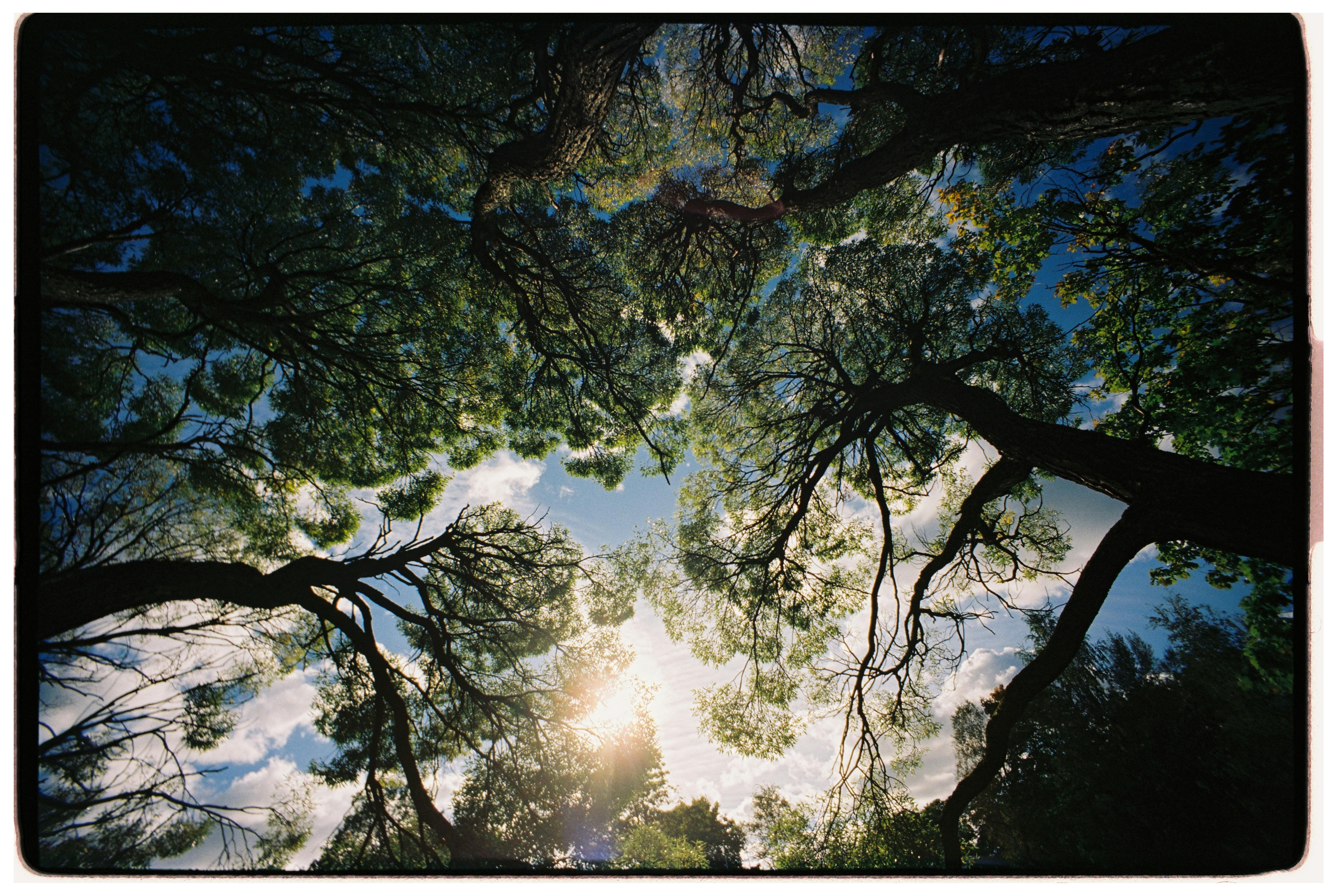 Sermon Background Photos, Download The BEST Free Sermon Background ...