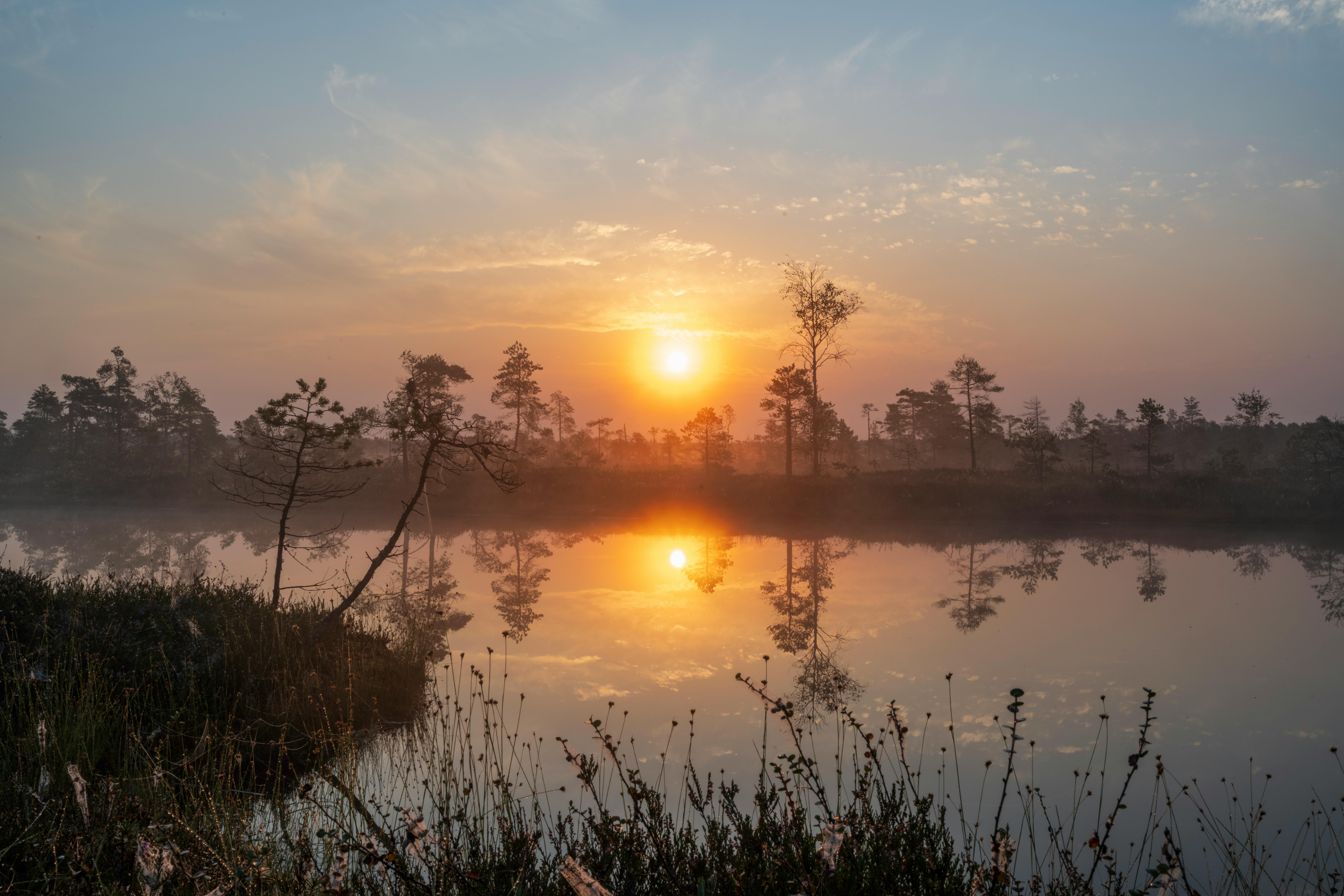 Morning Scenery Photos, Download The BEST Free Morning Scenery Stock ...