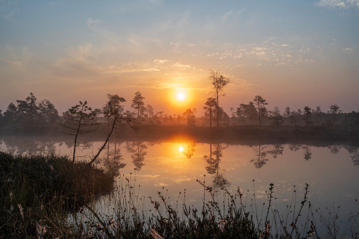 Morning Scenery Photos, Download The BEST Free Morning Scenery Stock ...