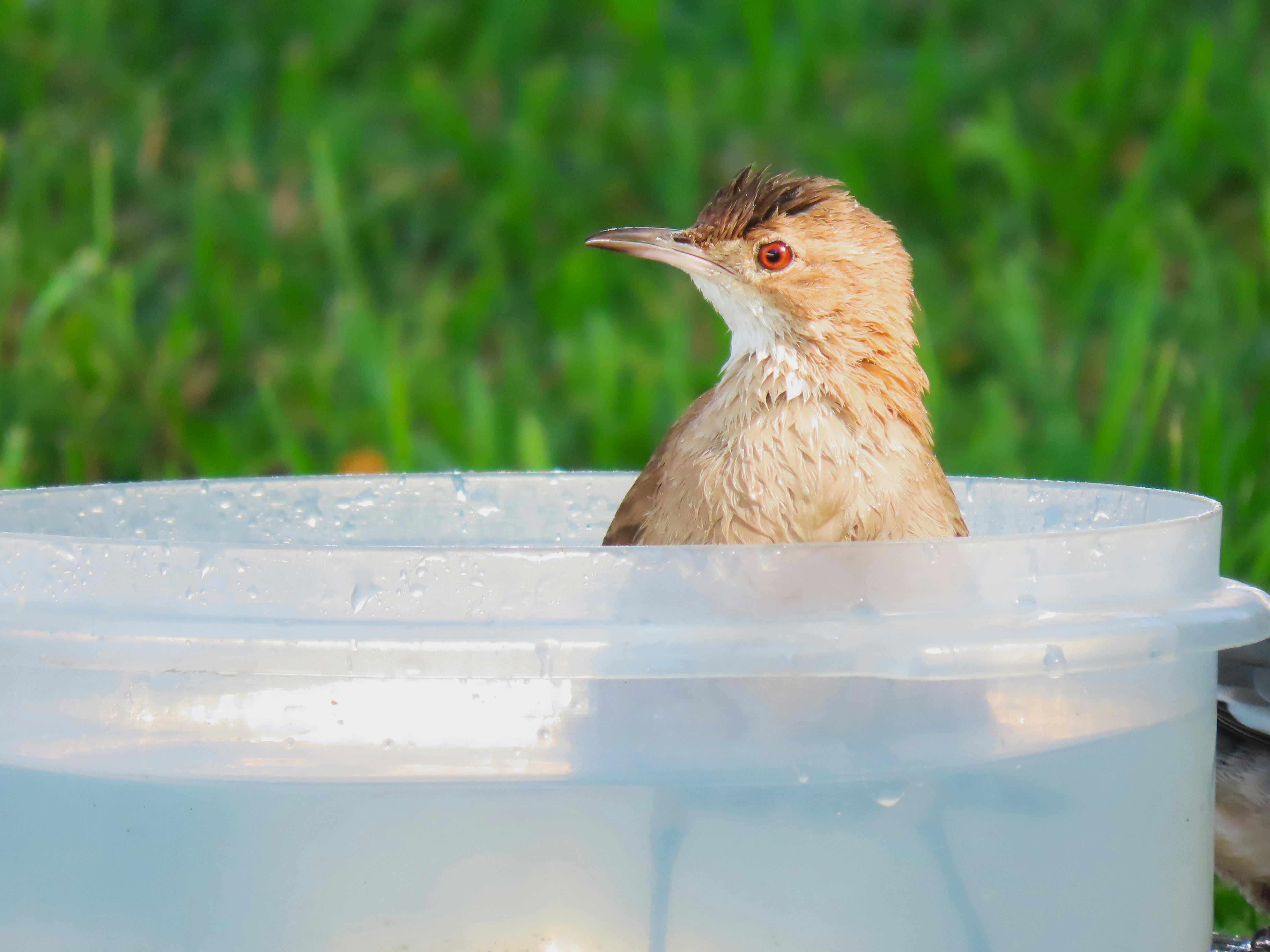 Free Photo Link Finder Photos, Download The BEST Free Free Photo Link ...