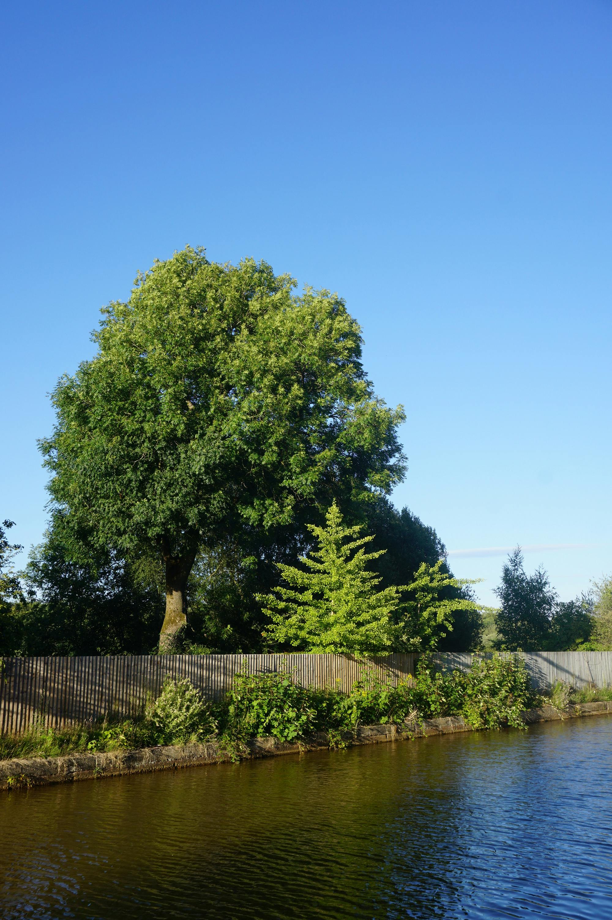 Manchester Photos, Download The BEST Free Manchester Stock Photos & HD ...