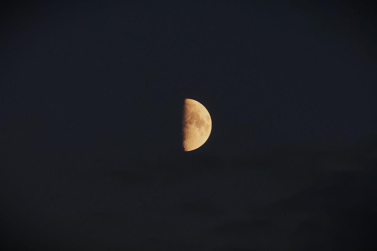 Half Moon Photos, Download The BEST Free Half Moon Stock Photos & HD Images