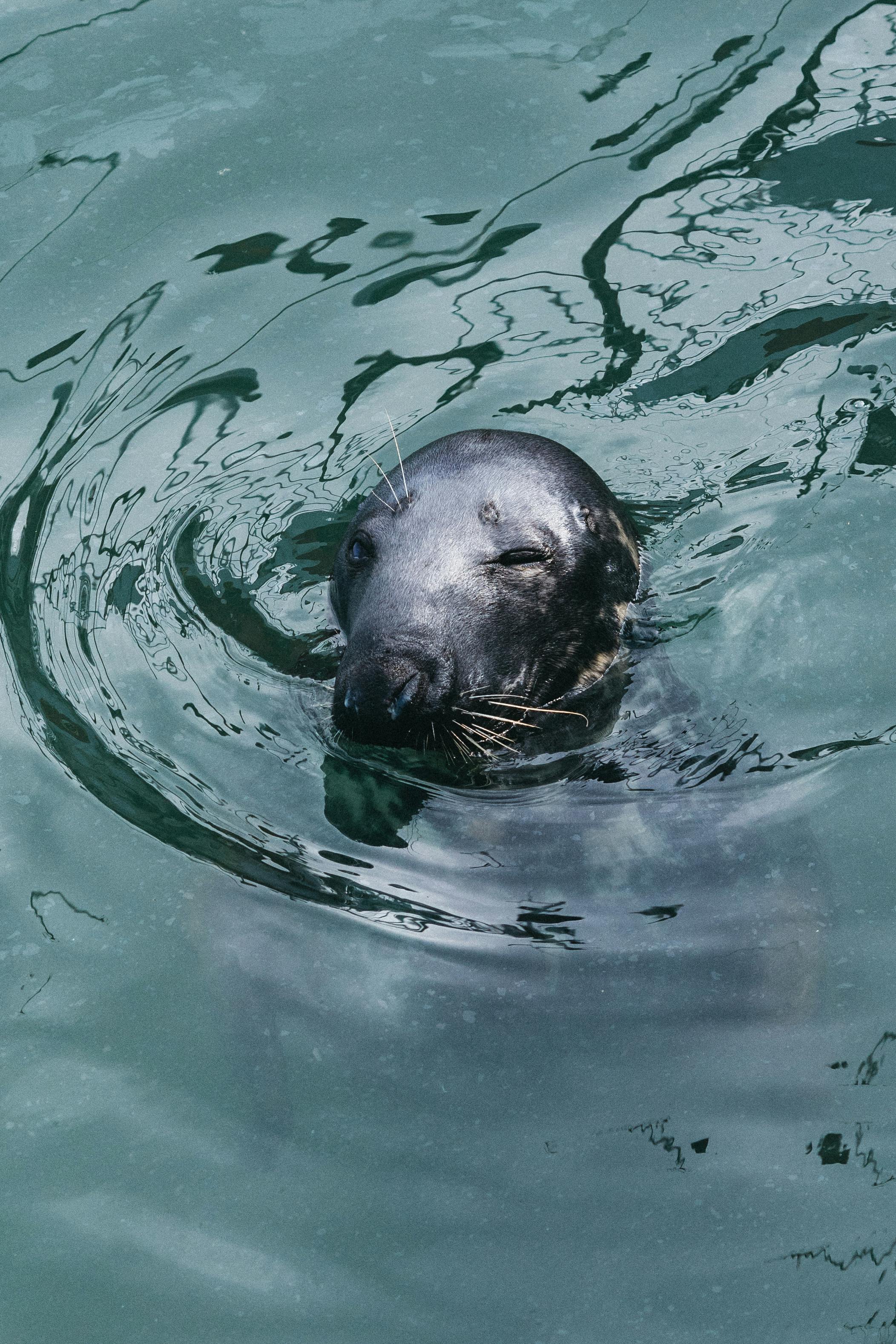 Howth, Dublin Ireland Ebike Photos, Download The BEST Free Howth ...