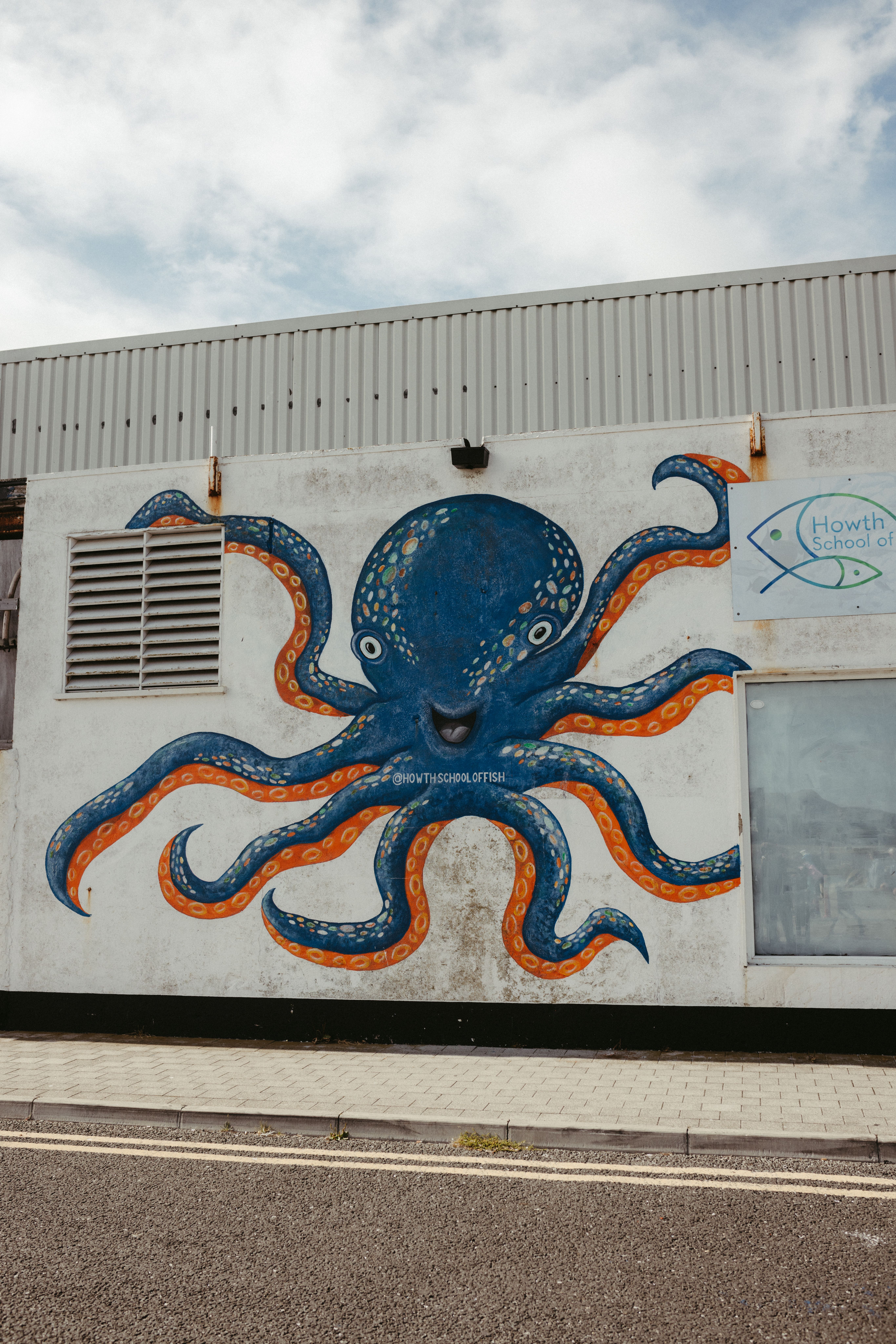 Colorful Octopus Mural in Howth, Dublin · Free Stock Photo