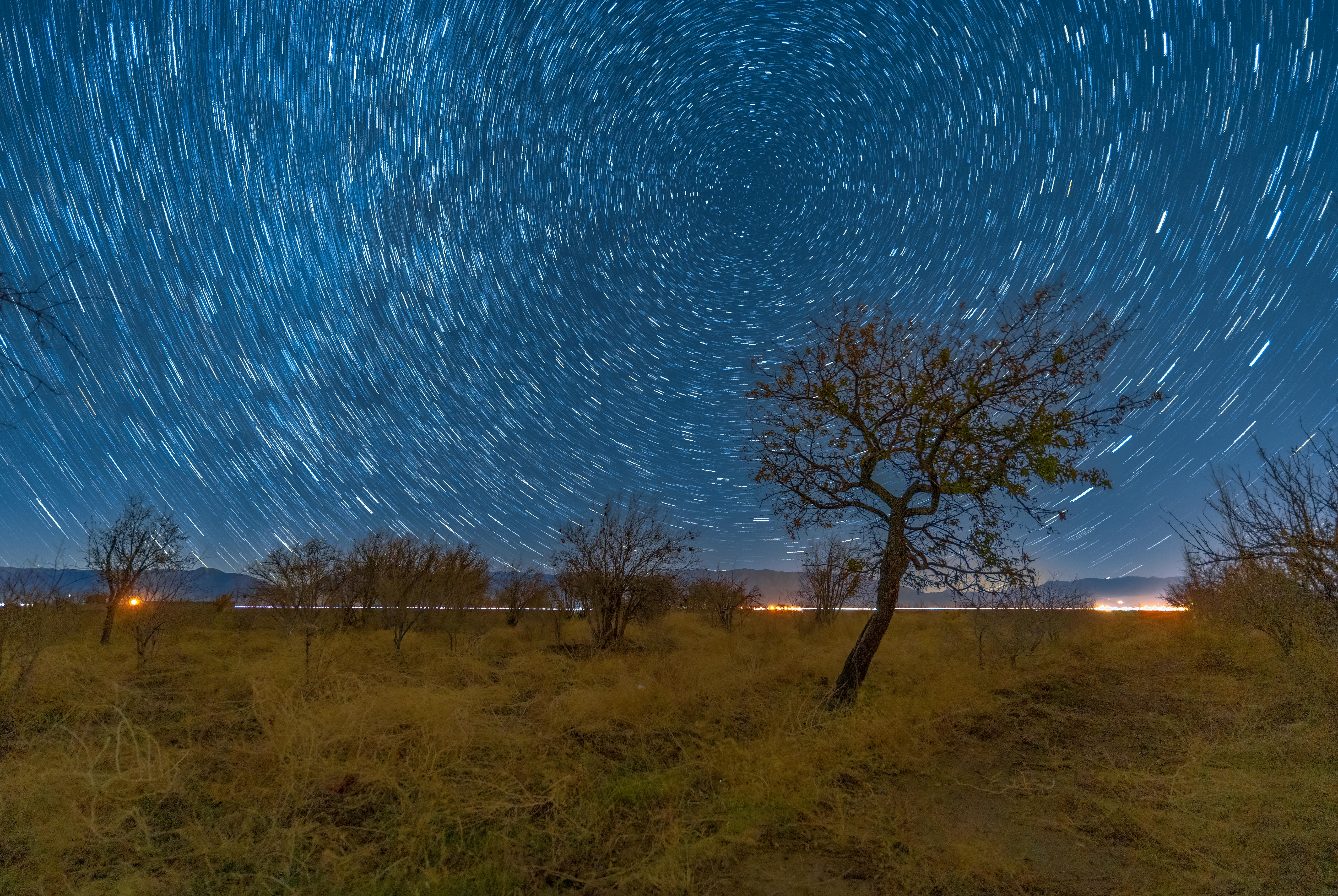 Night Sky Star Trails Over Desert Landscape · Free Stock Photo