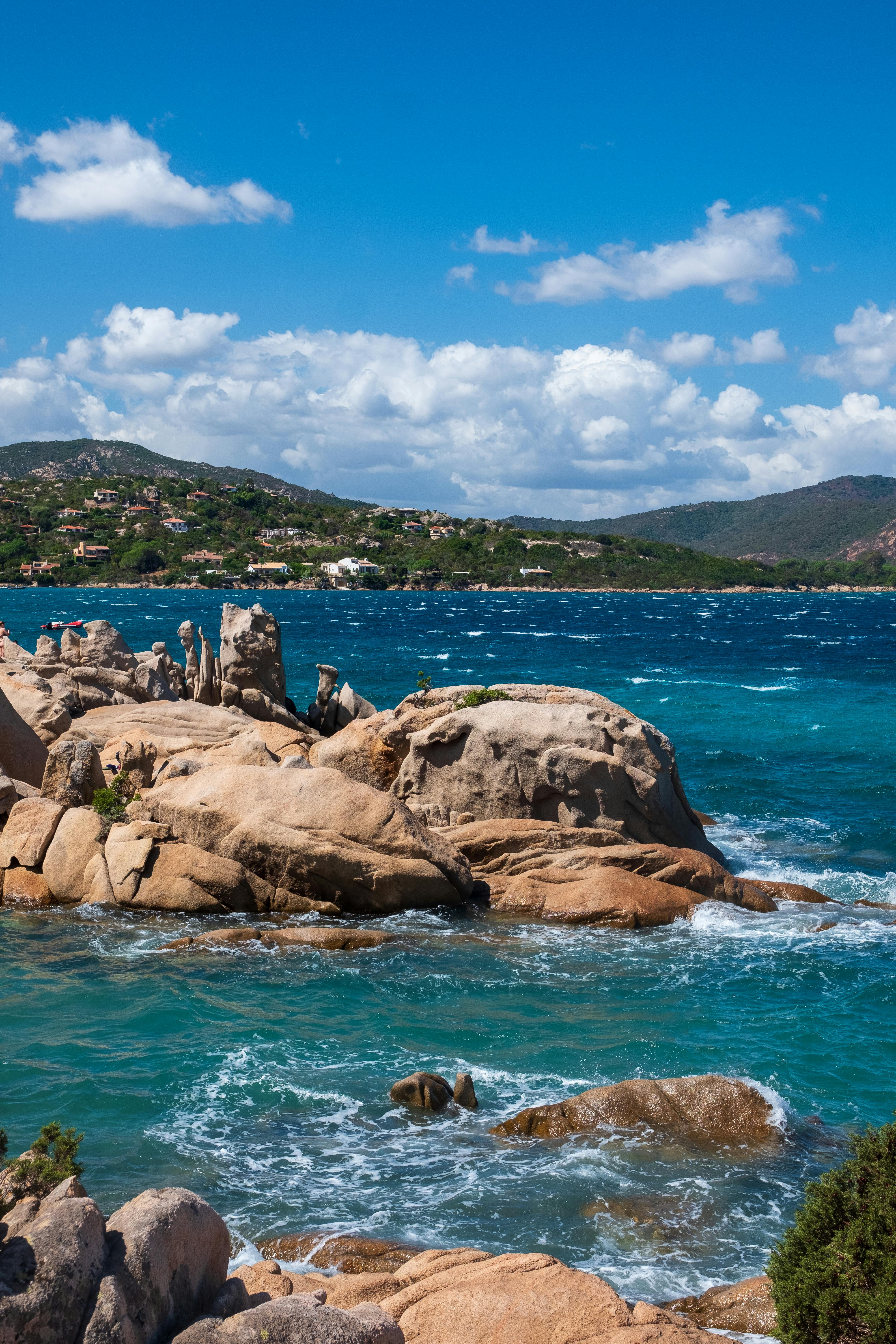 Kale De France Photos, Download The BEST Free Kale De France Stock ...