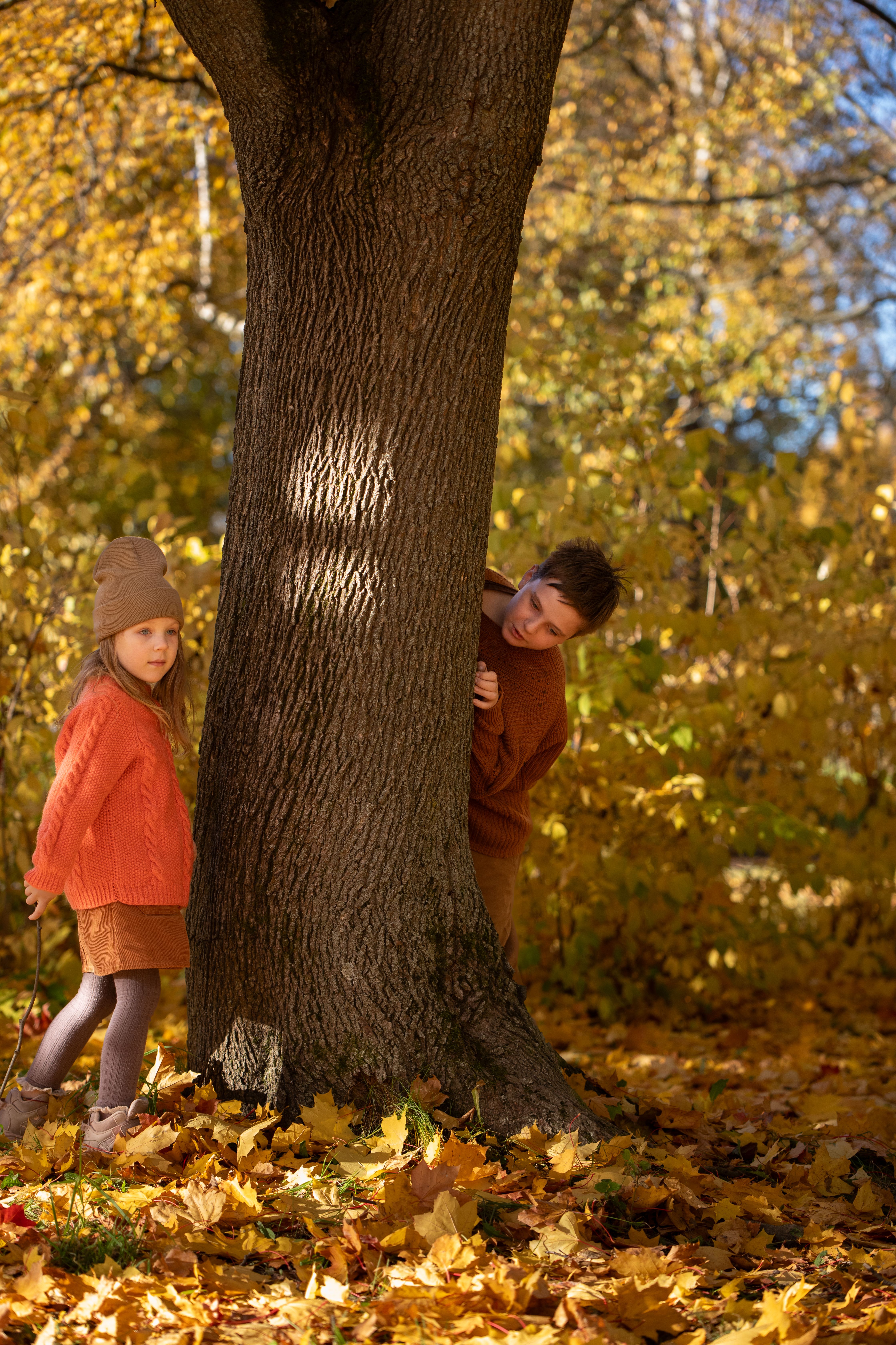 Children Playing Hide and Seek in Autumn · Free Stock Photo