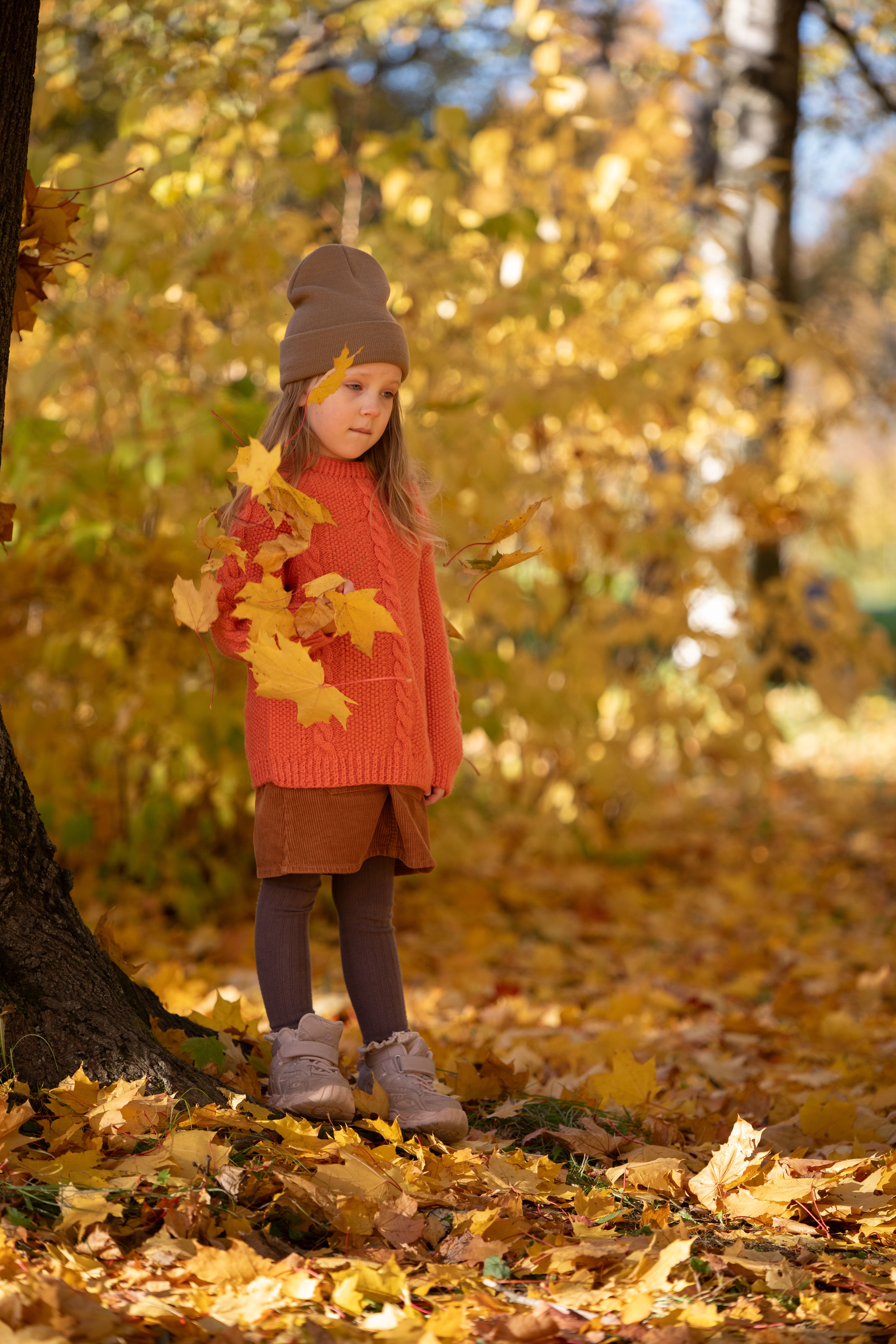 Child Enjoying Fall Leaves in a Park Setting · Free Stock Photo