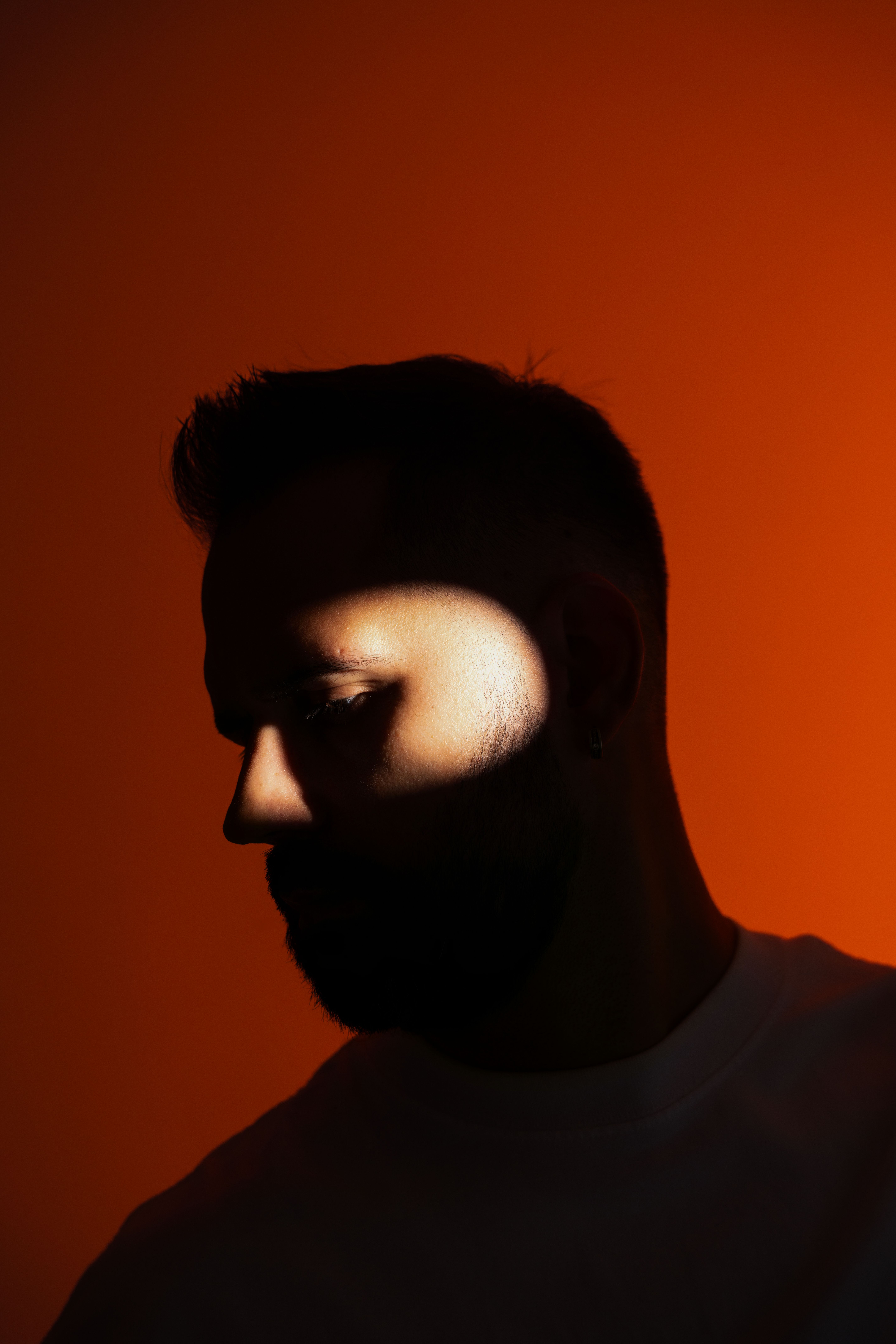 Dramatic Shadow Portrait with Bold Lighting · Free Stock Photo