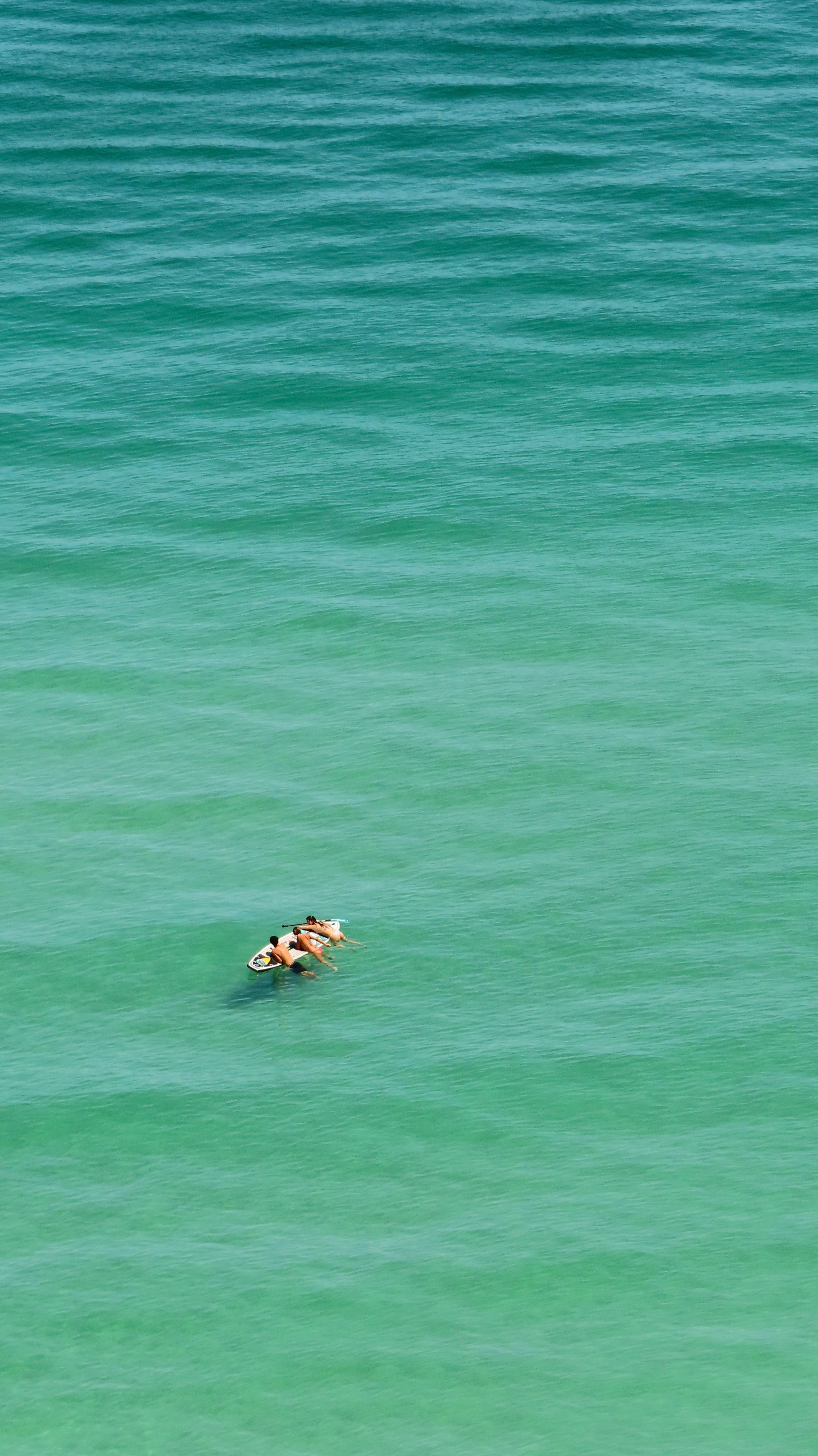 Aerial View of Relaxing Swimmers in Miami Ocean · Free Stock Photo