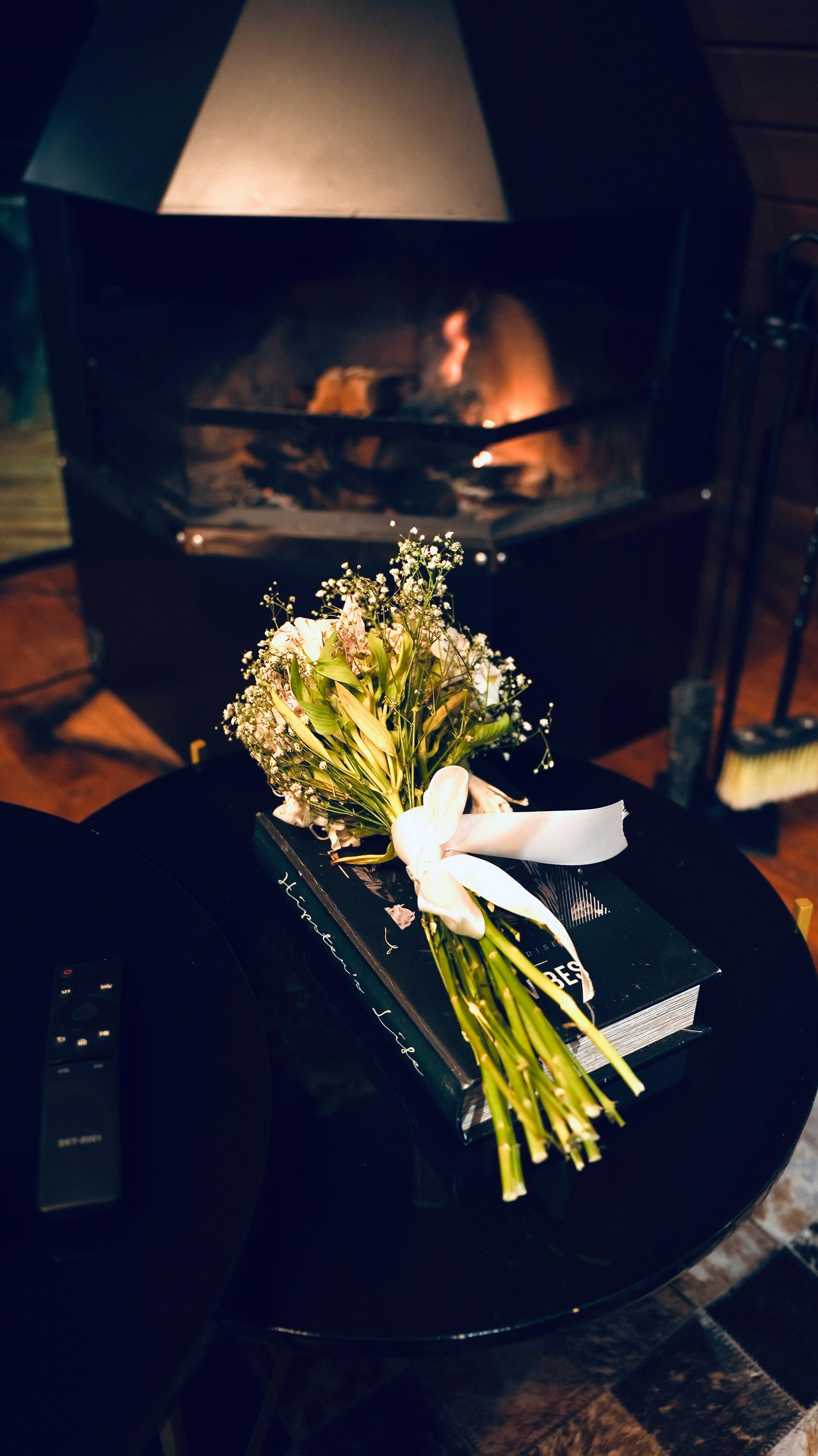 Evening Flowers Photos, Download The BEST Free Evening Flowers Stock ...