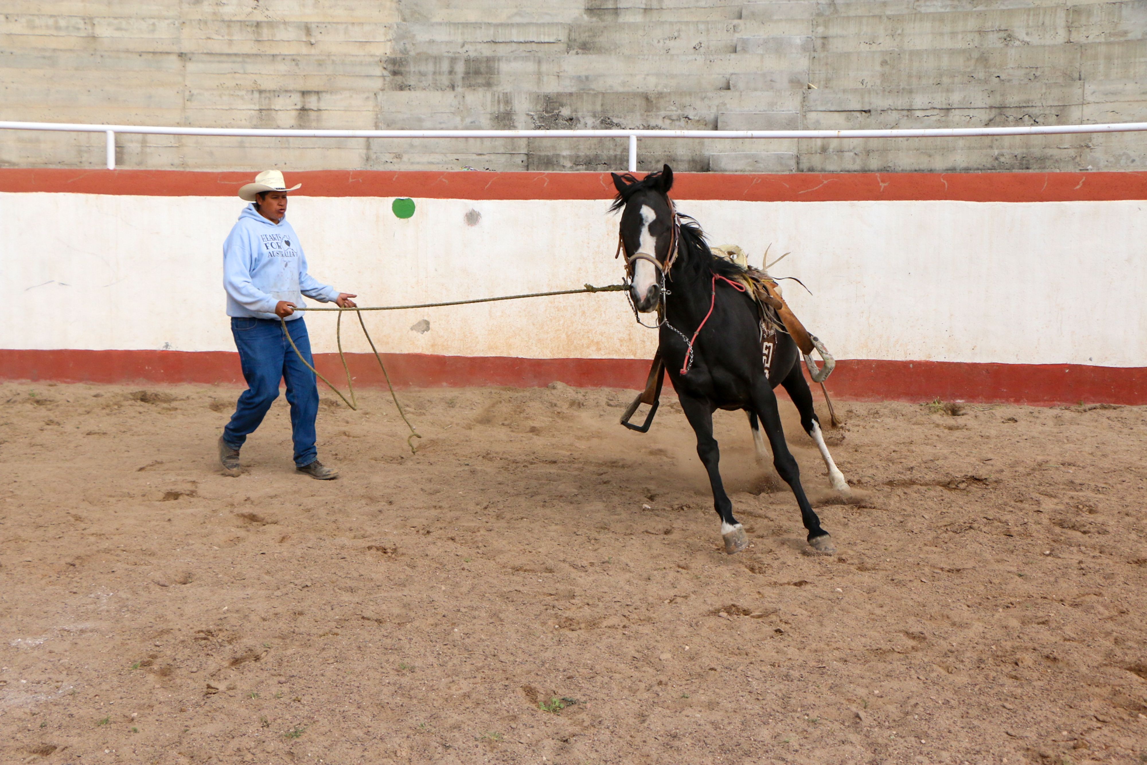 Horse Training in Outdoor Arena by Cowboy · Free Stock Photo