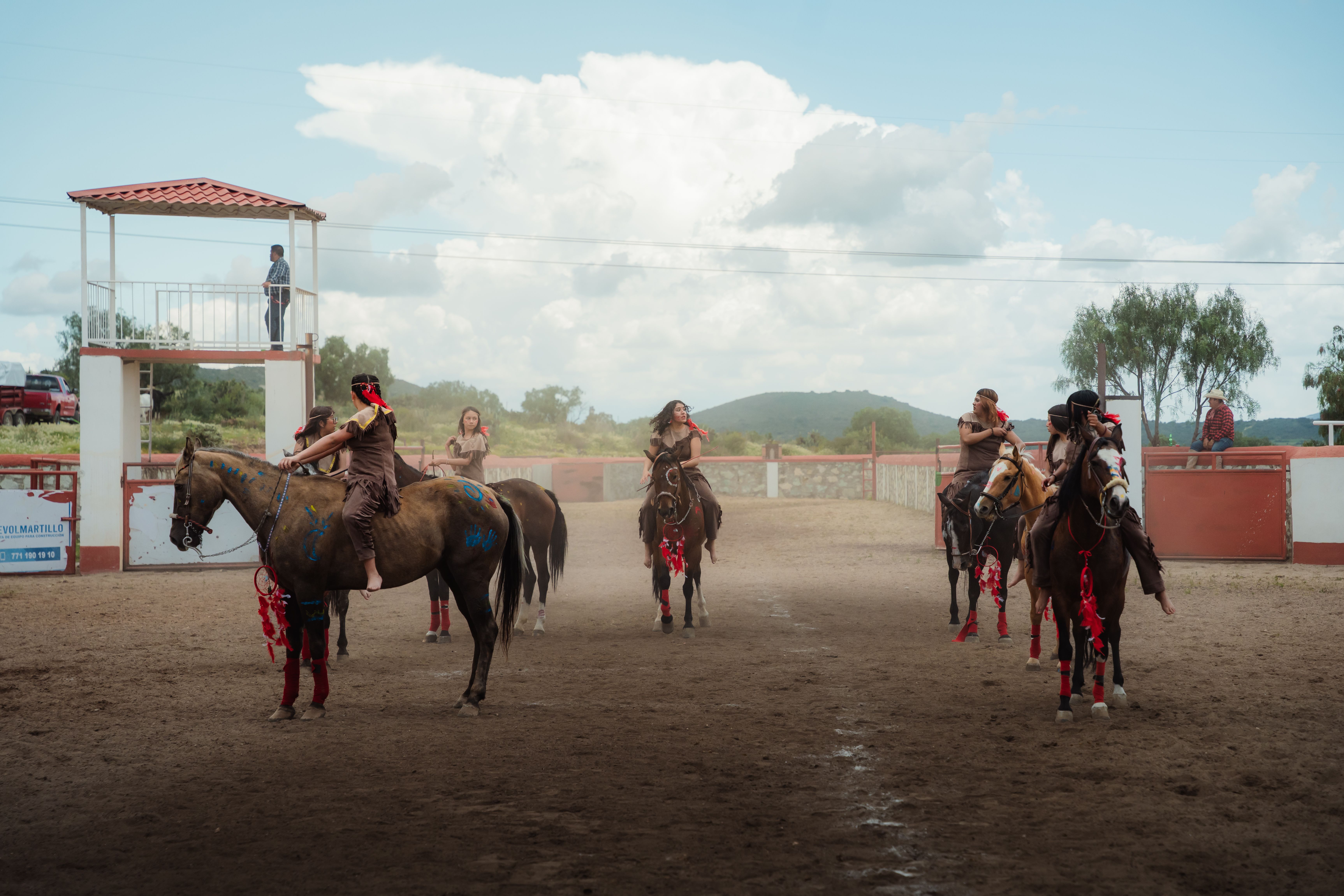 Western Performance Horses Photos, Download The BEST Free Western ...