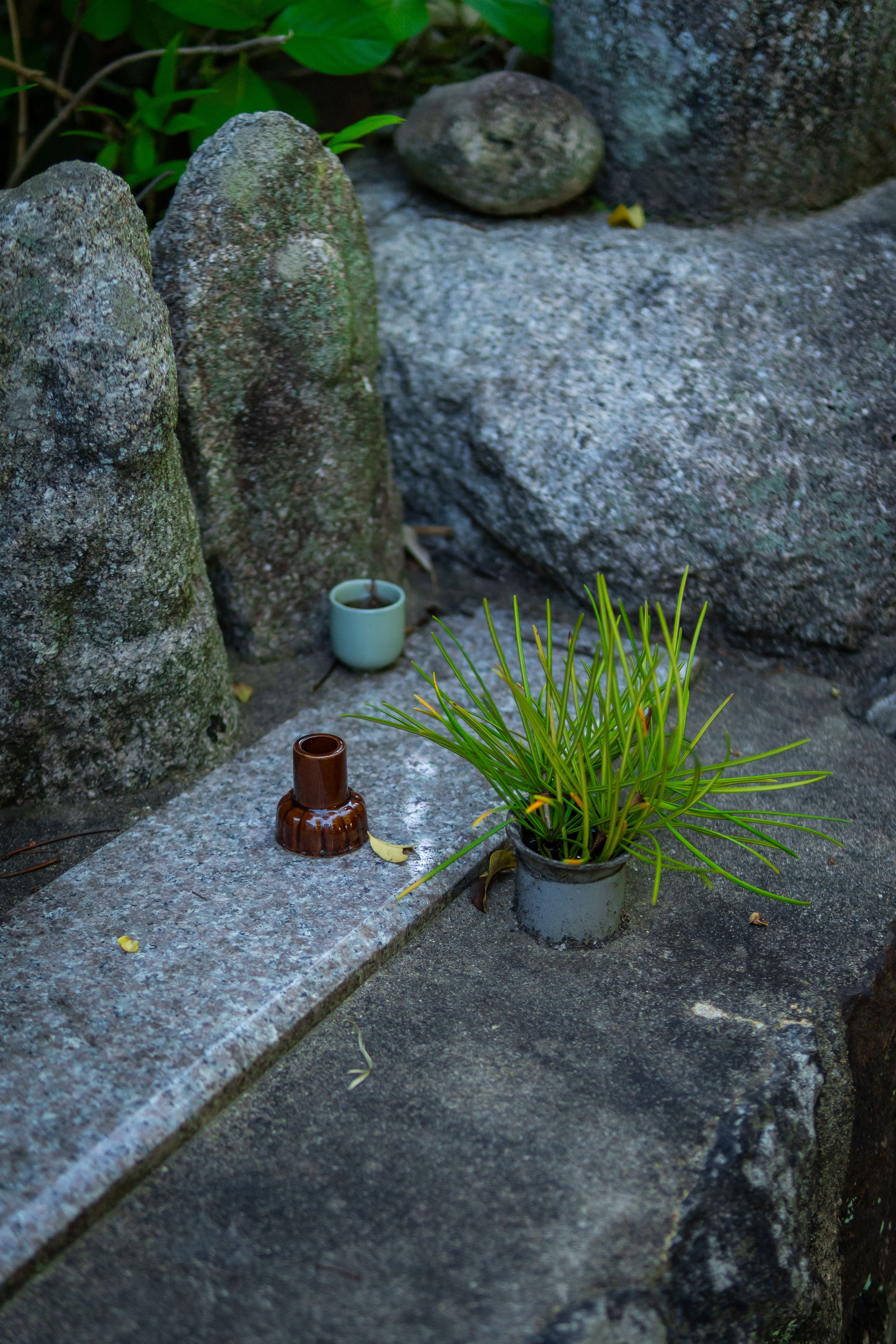 Zen Garden with Stone Arrangements and Potted Plant · Free Stock Photo