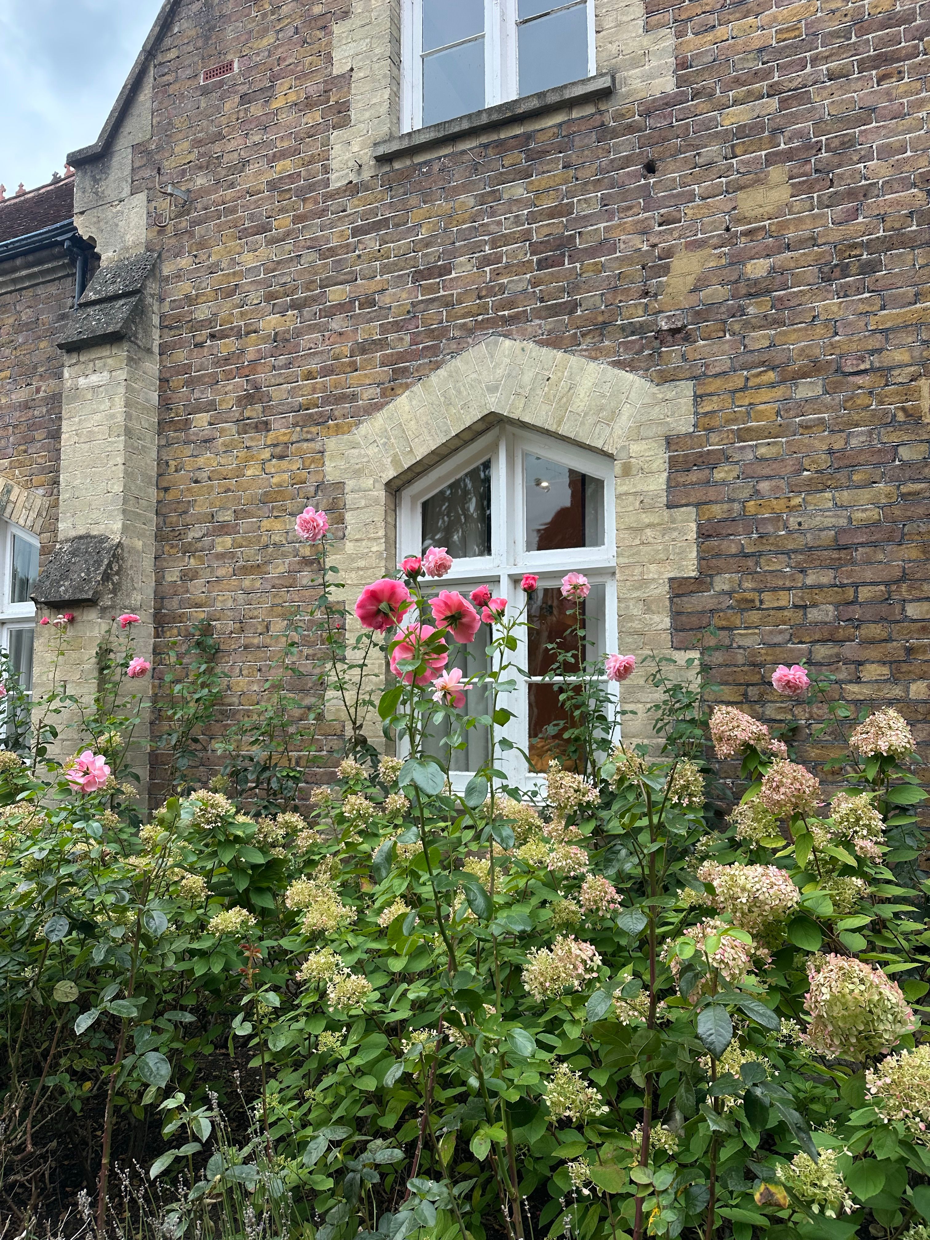 Historic Brick House with Blooming Garden Flowers · Free Stock Photo