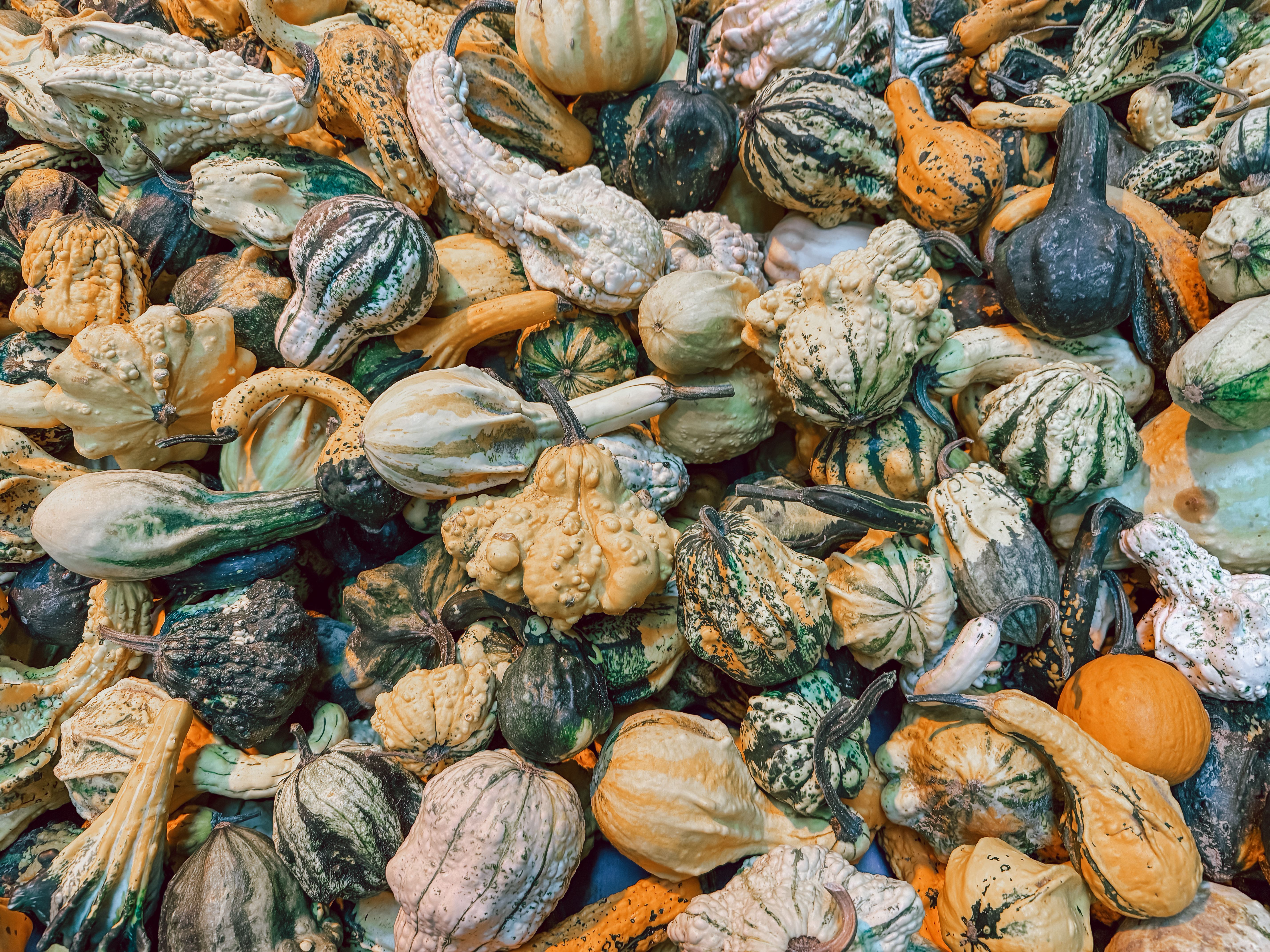 Fall Background Photos, Download The BEST Free Fall Background Stock ...