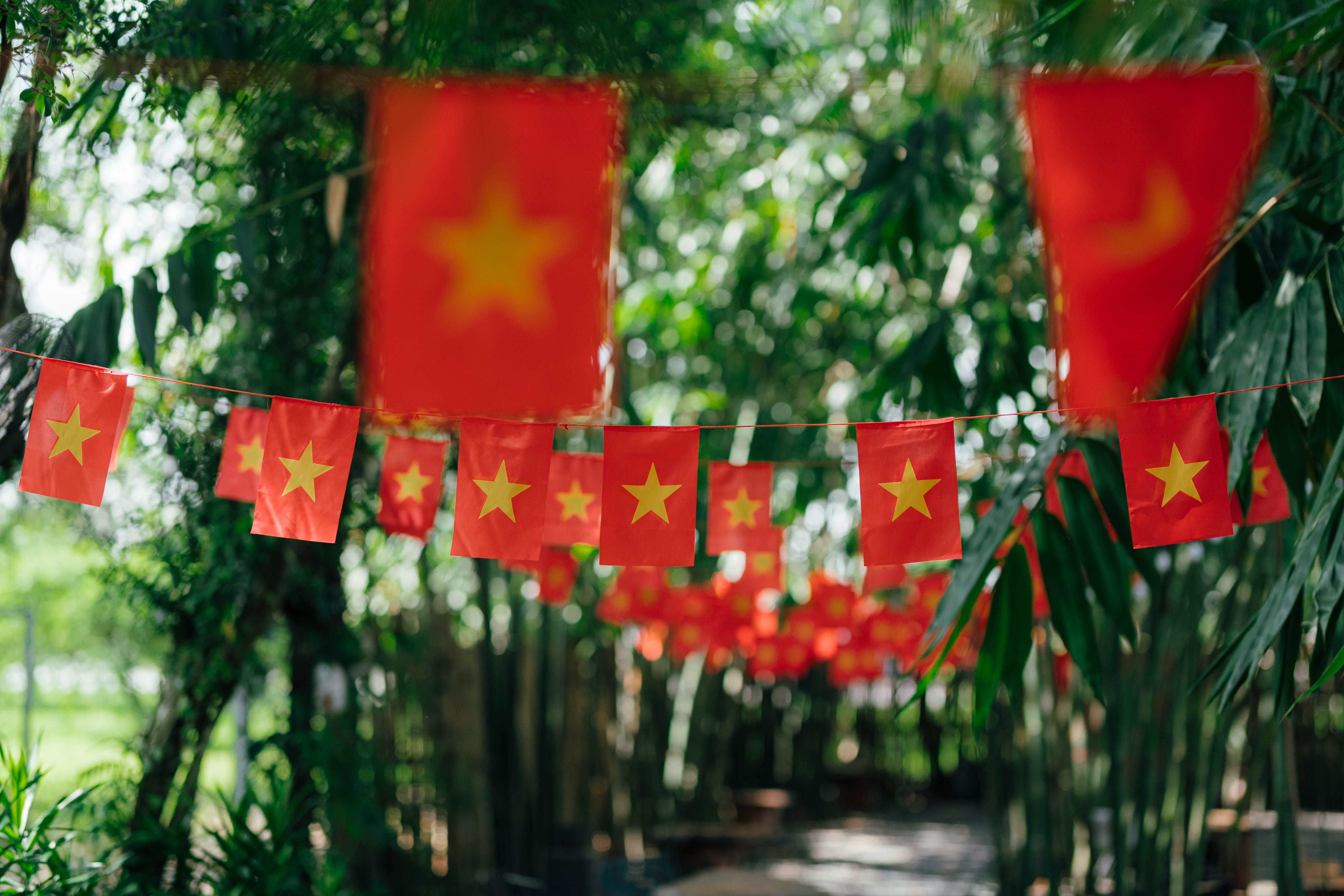 Vibrant Vietnamese Flags Amidst Lush Greenery · Free Stock Photo