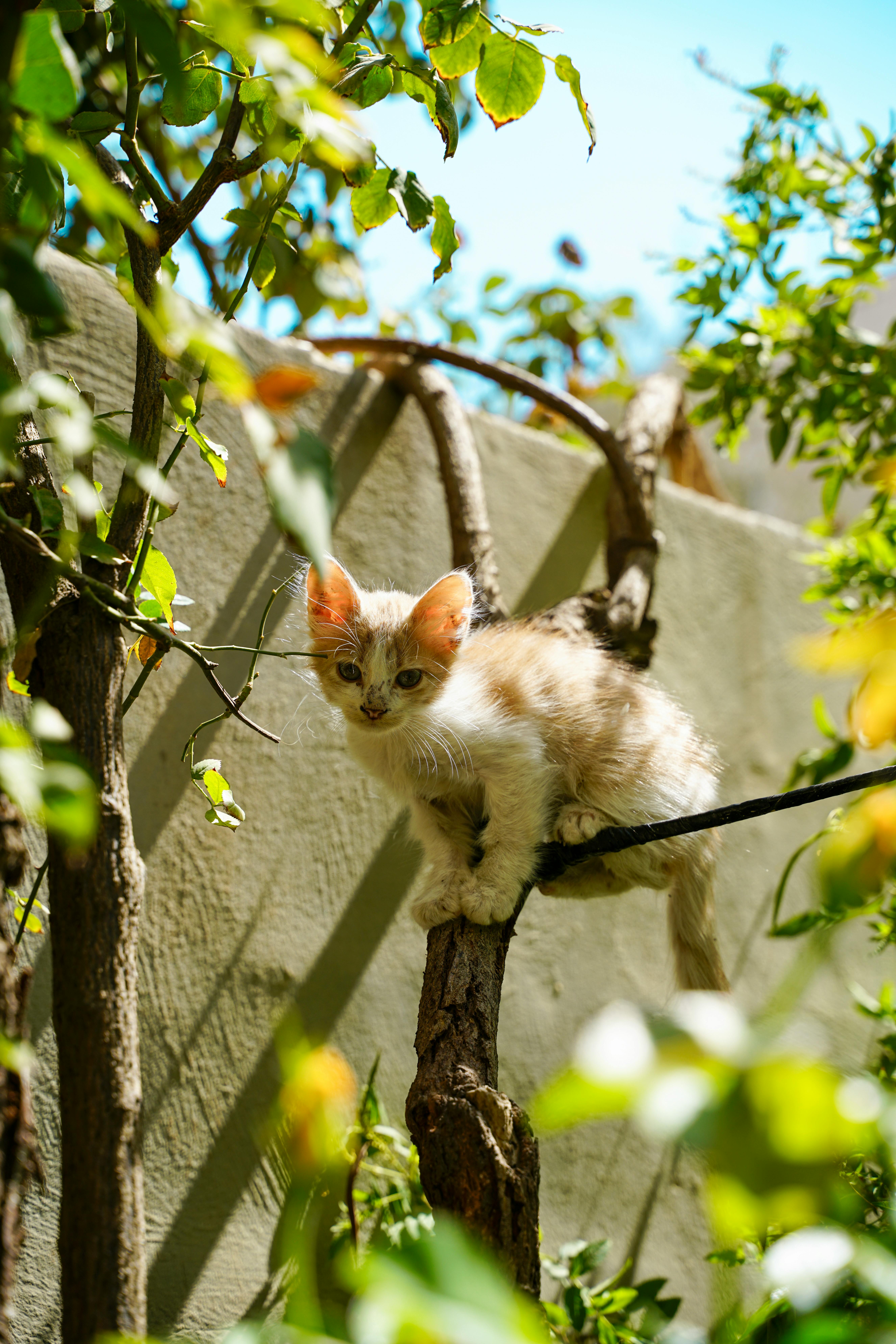 Single+Worker+Home Photos, Download The BEST Free Single+Worker+Home ...