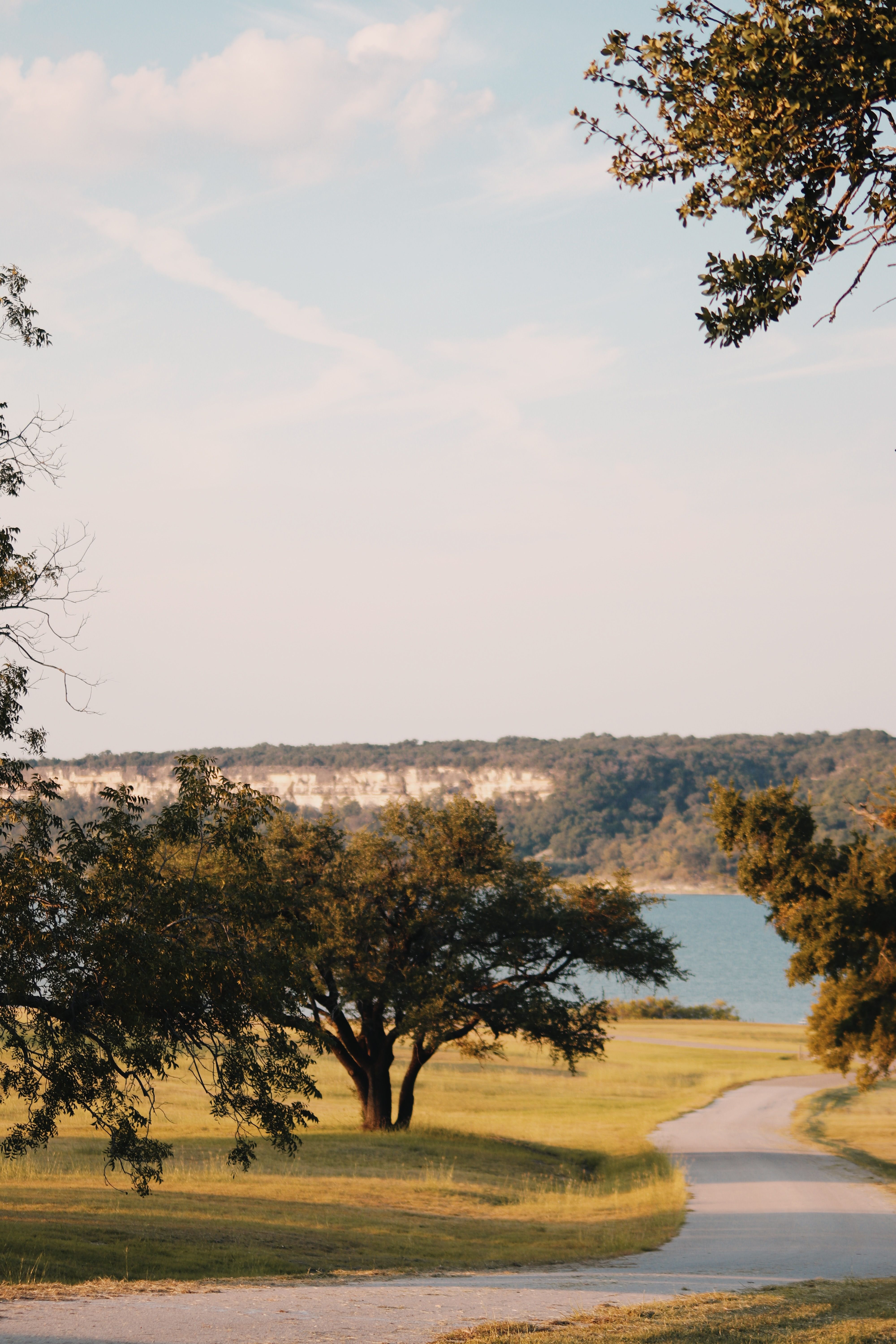 Scenic Lakeside Landscape with Tree and Pathway · Free Stock Photo