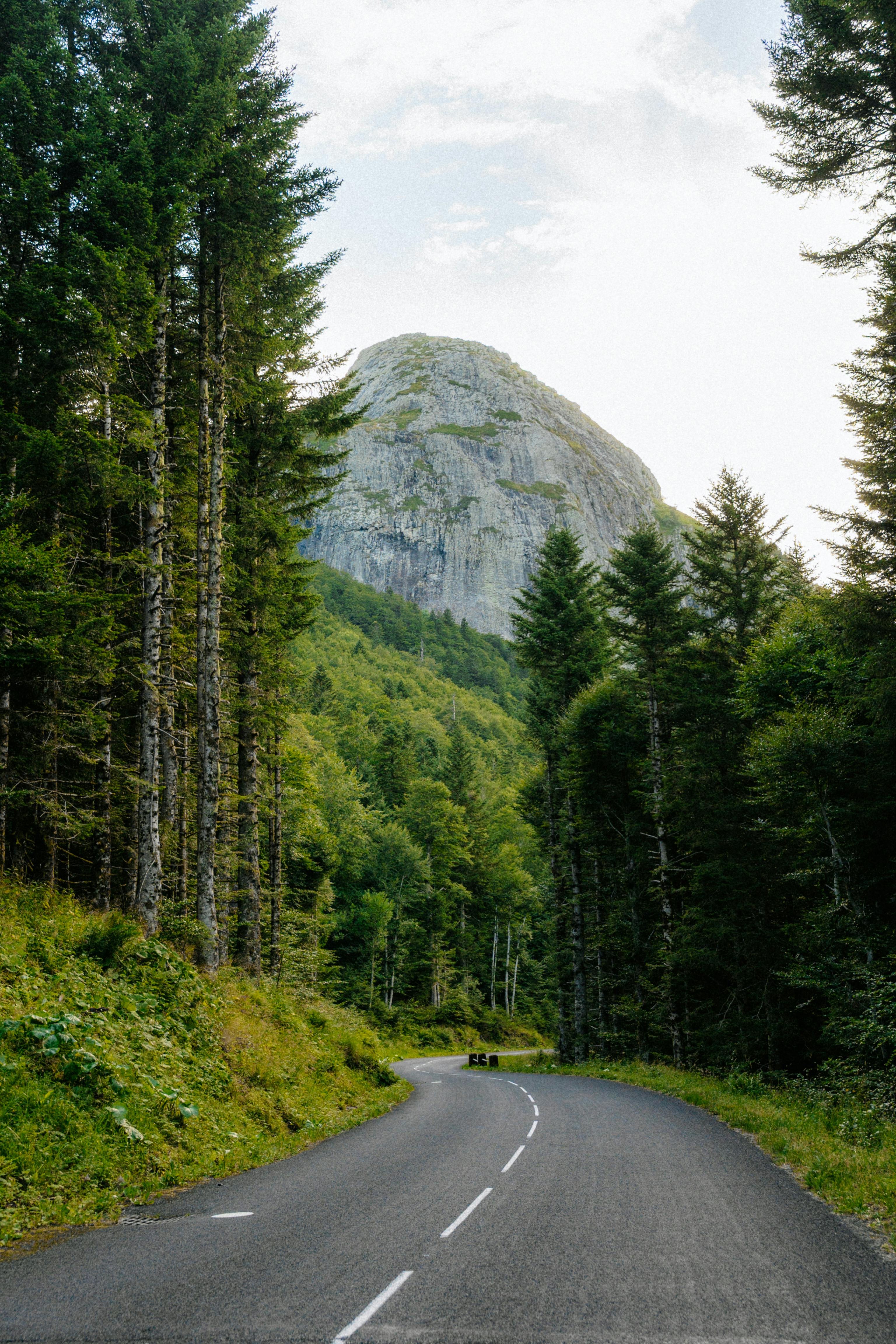 Confused Driving Photos, Download The BEST Free Confused Driving Stock ...