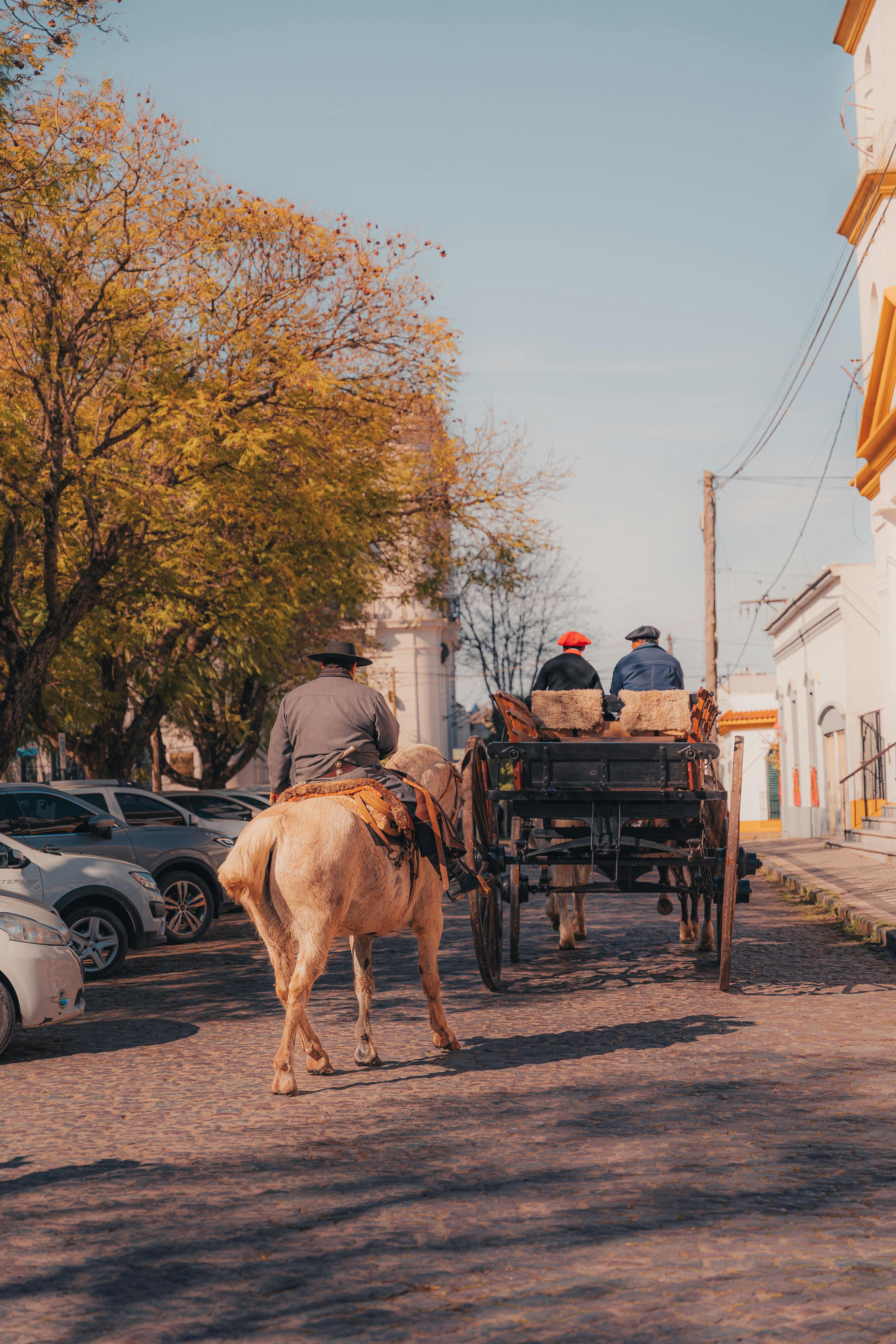 Urban And Rural Area Photos, Download The BEST Free Urban And Rural ...