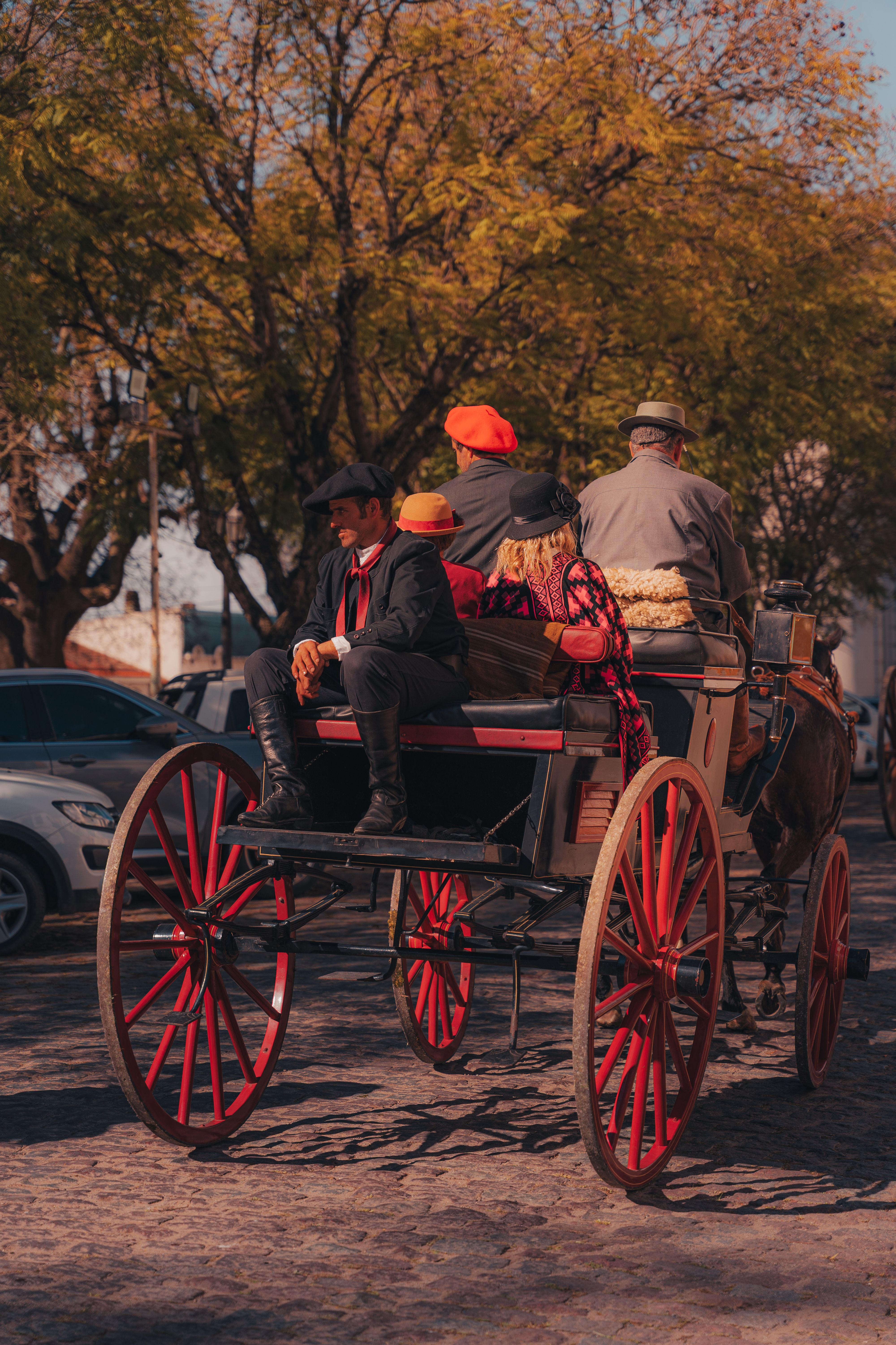 Scenic Horse-Drawn Carriage Ride in Autumn · Free Stock Photo