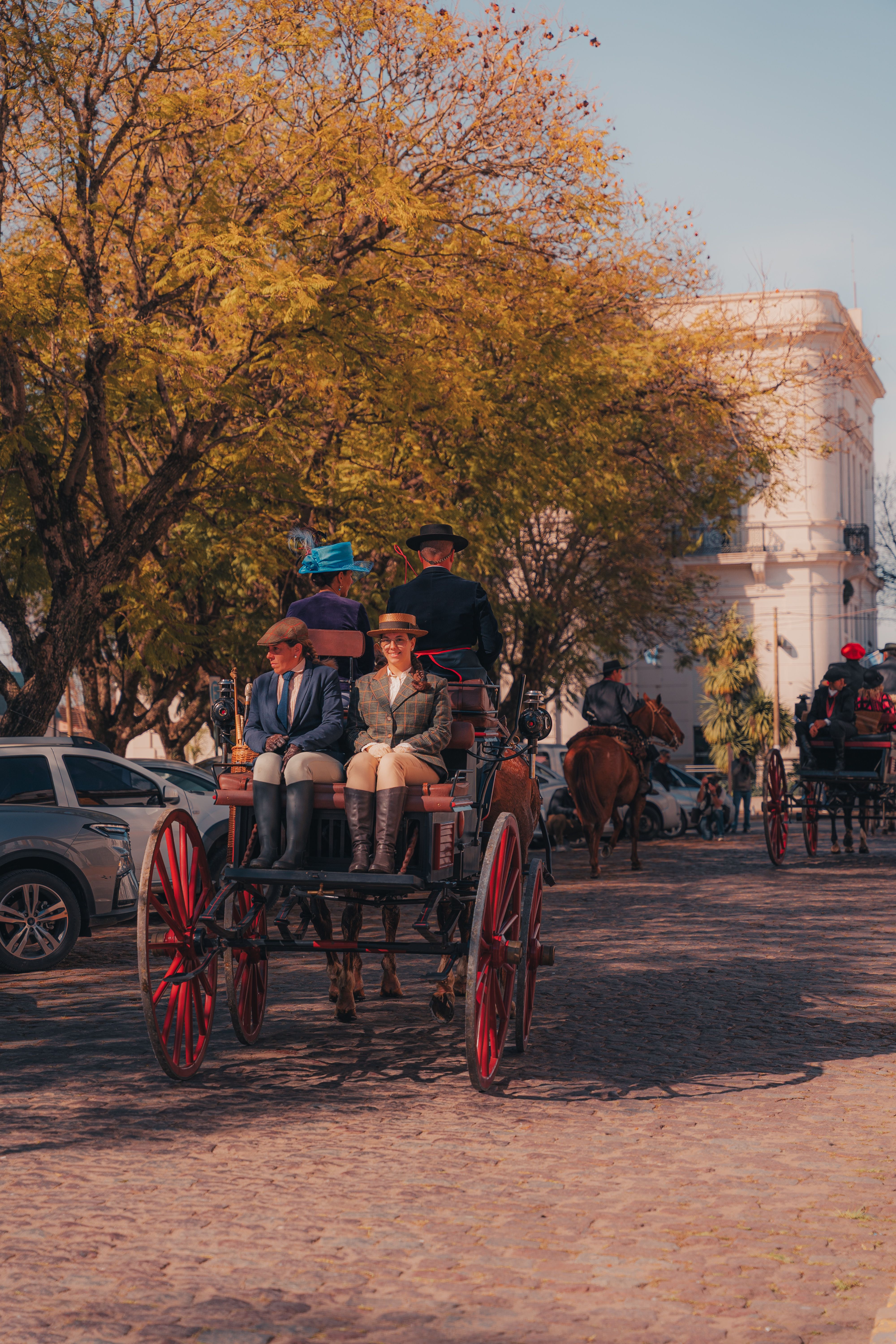 Traditional Horse Carriage Ride in Autumn Street · Free Stock Photo