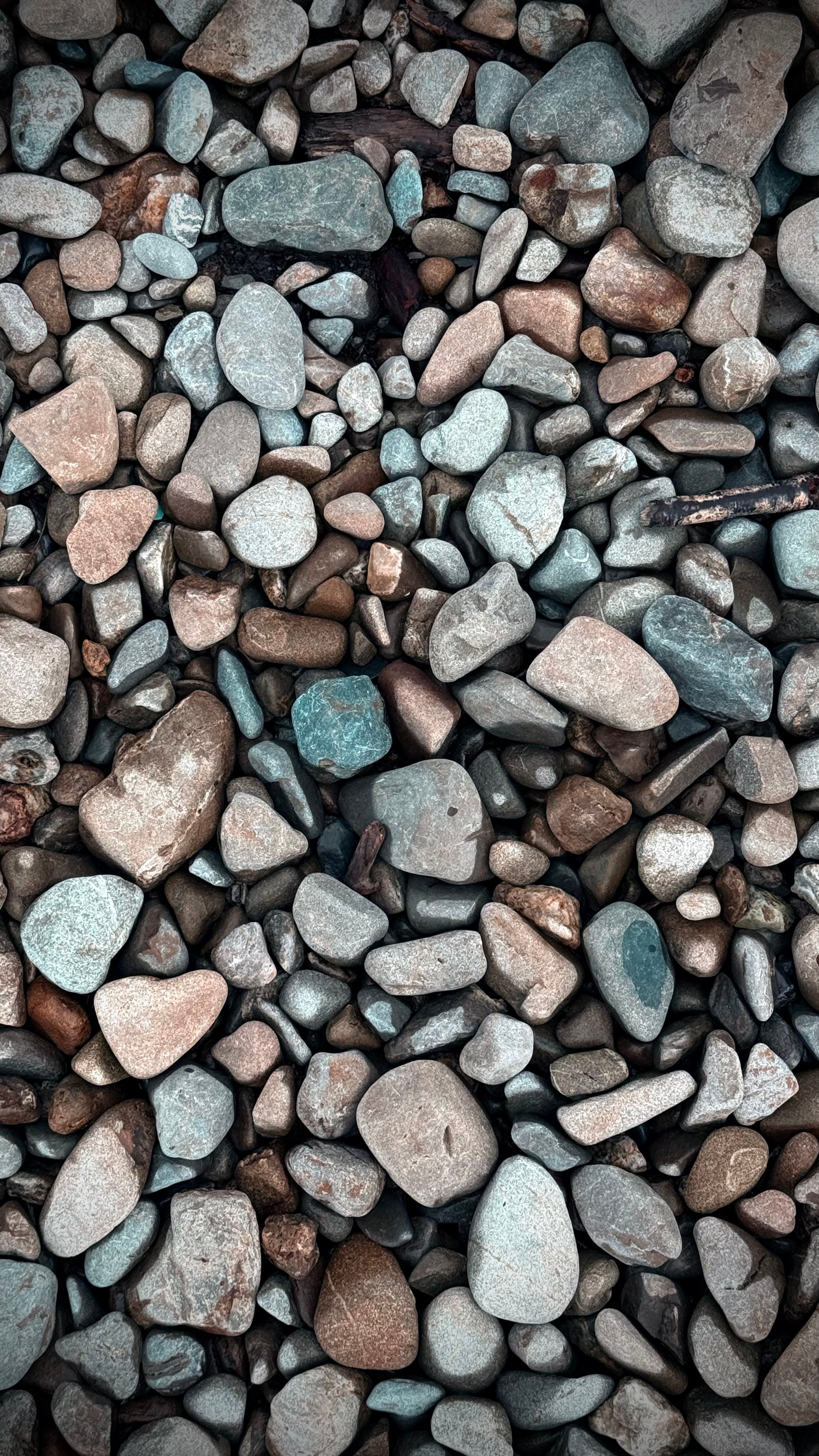 Close-up of Colorful Riverbed Pebbles · Free Stock Photo