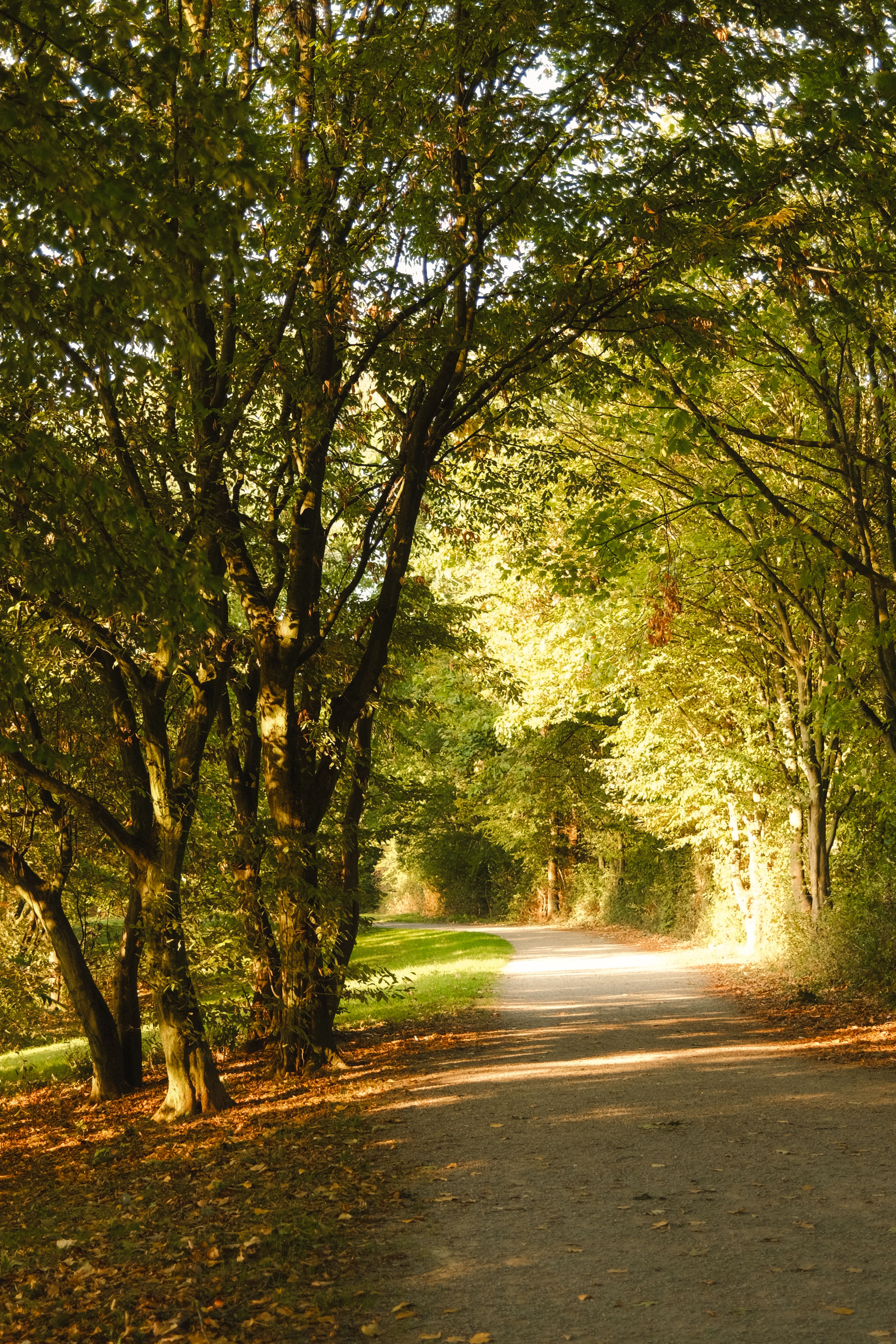 Calm Earthy Photos, Download The BEST Free Calm Earthy Stock Photos ...