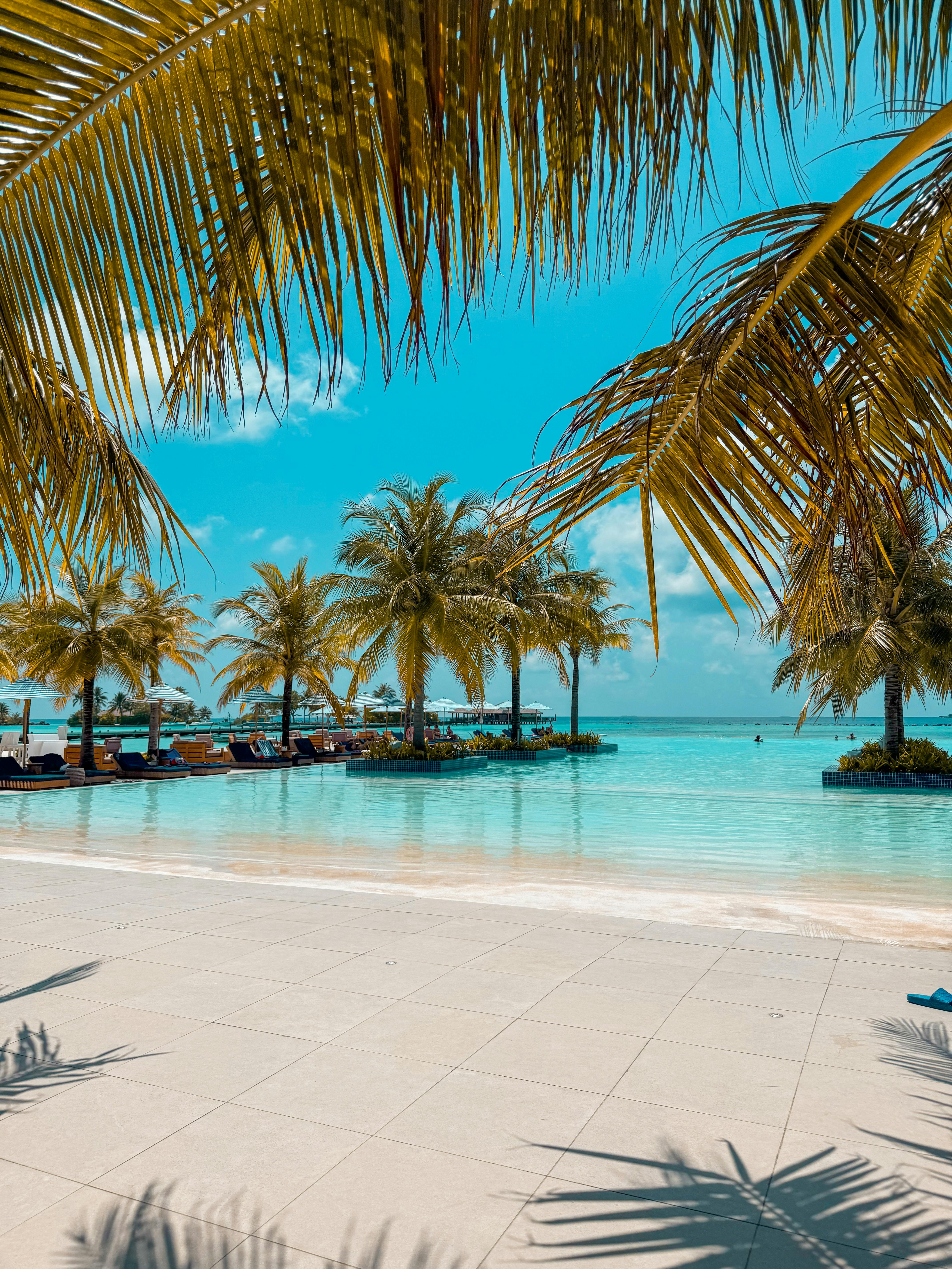 Tropical Paradise Resort Poolside View · Free Stock Photo