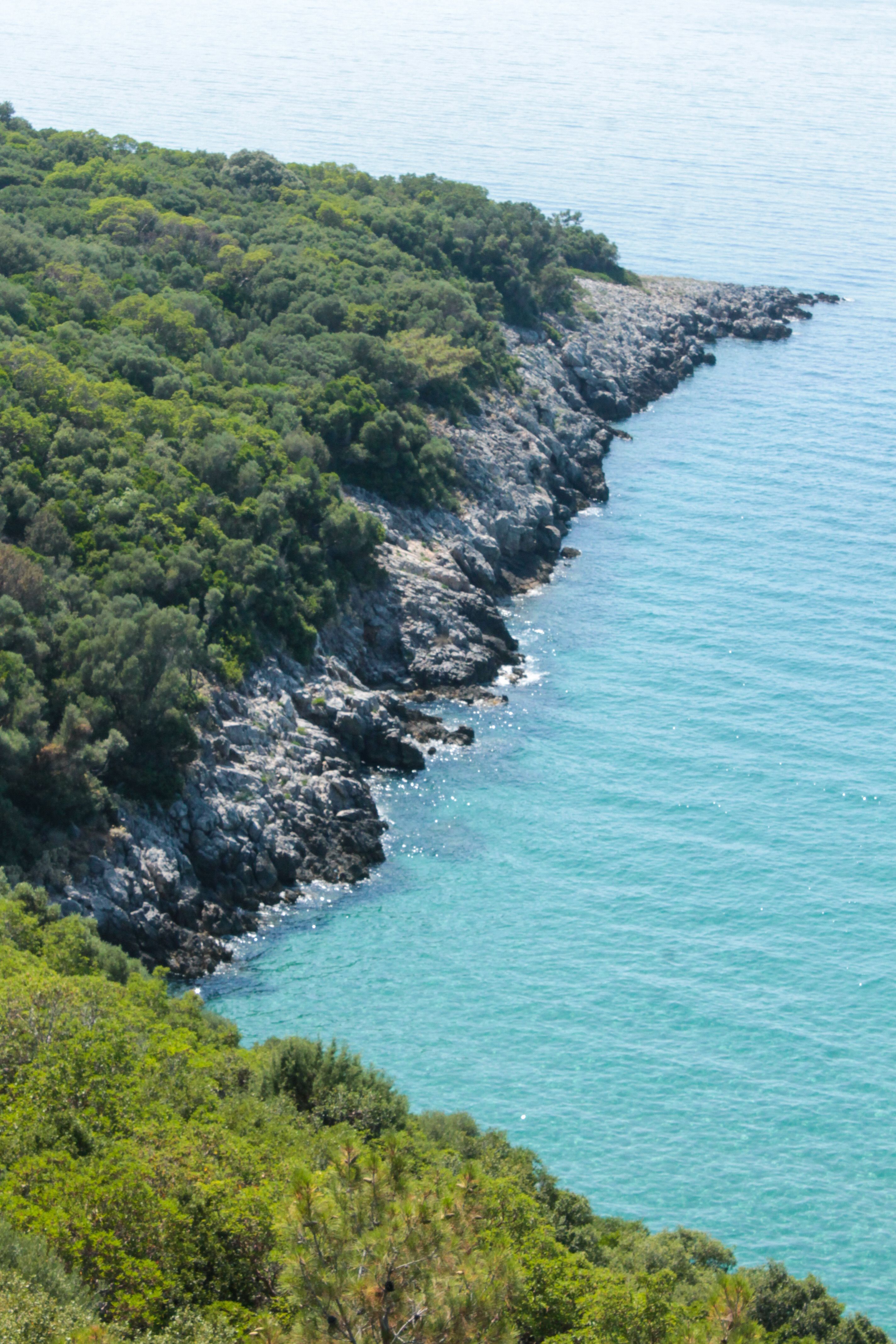 Scenic Cliffside View of Ocean Coastline · Free Stock Photo