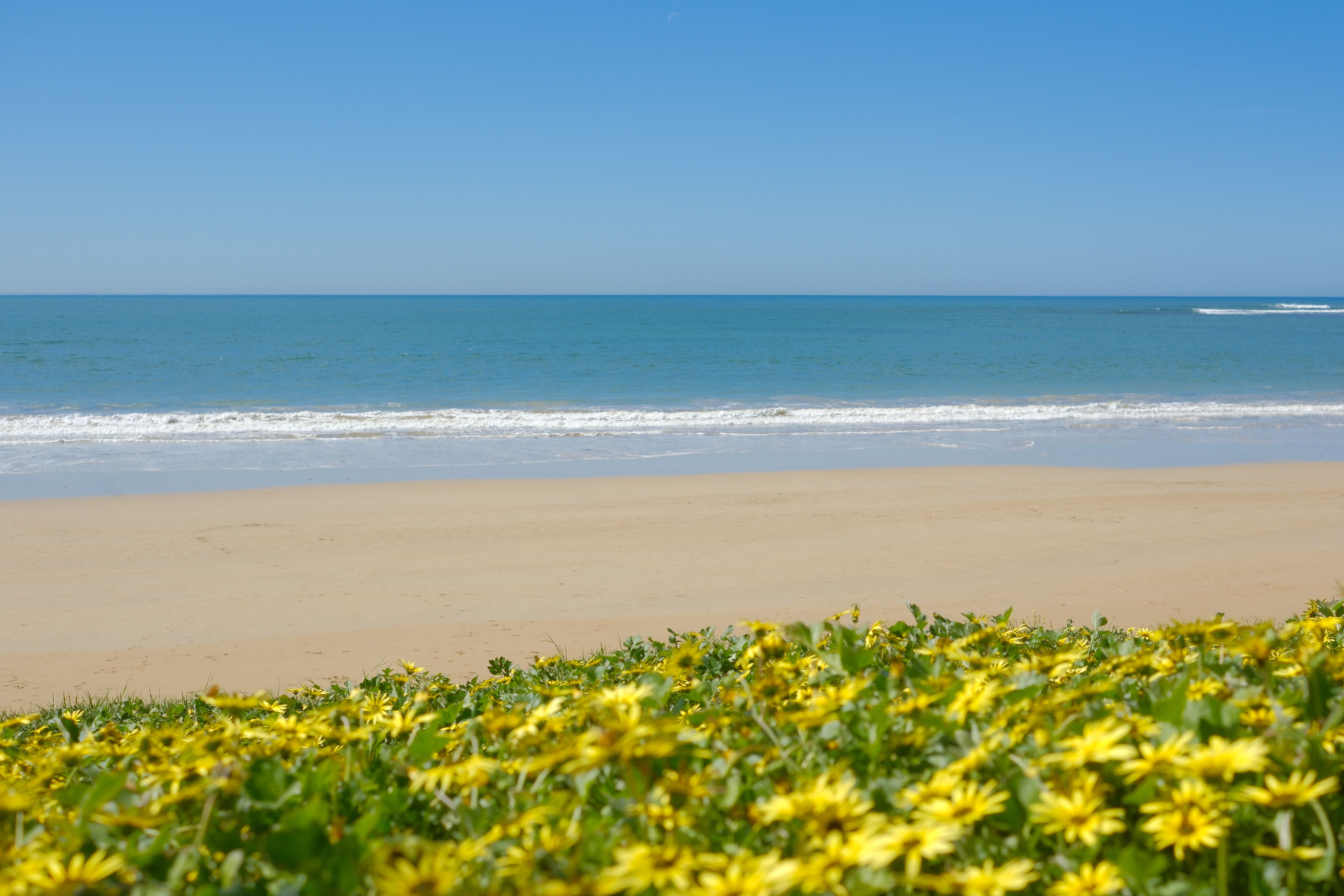 Sunny Beach Landscape in Torquay, Australia · Free Stock Photo