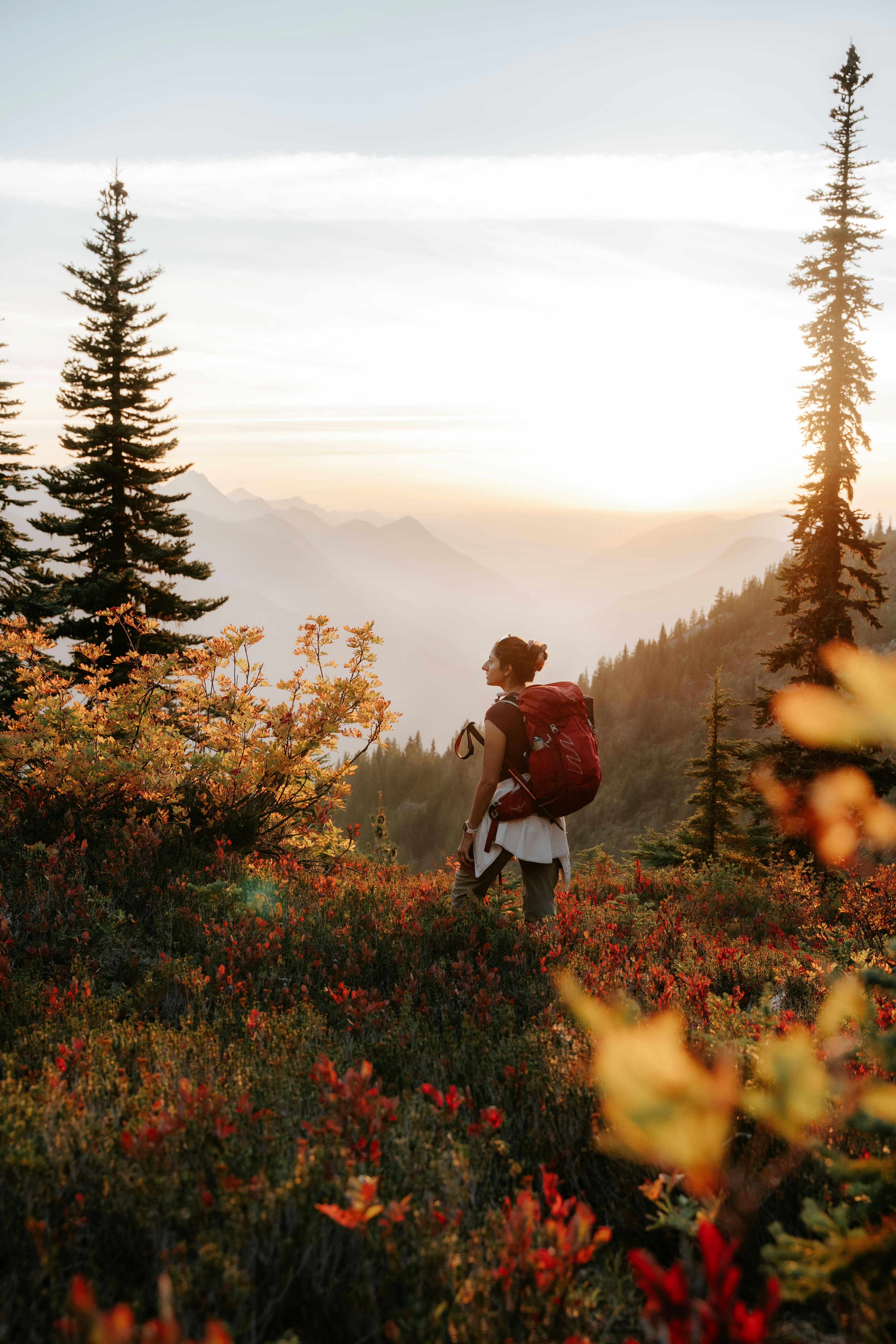 Wanderer In Herbstlicher Berglandschaft Bei Sonnenaufgang · Kostenloses ...