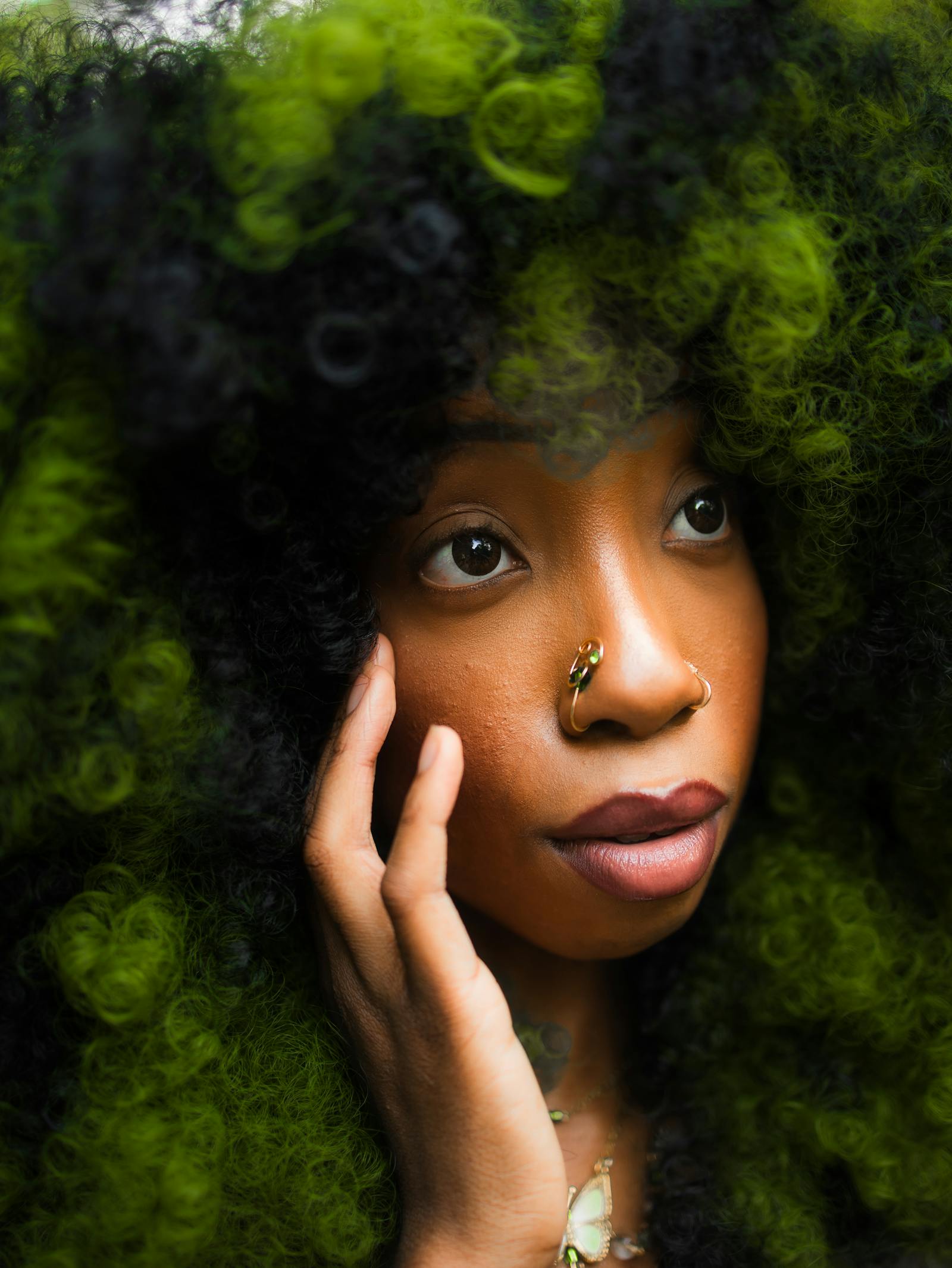 Green+Pfp Photos, Download The BEST Free Green+Pfp Stock Photos & HD Images