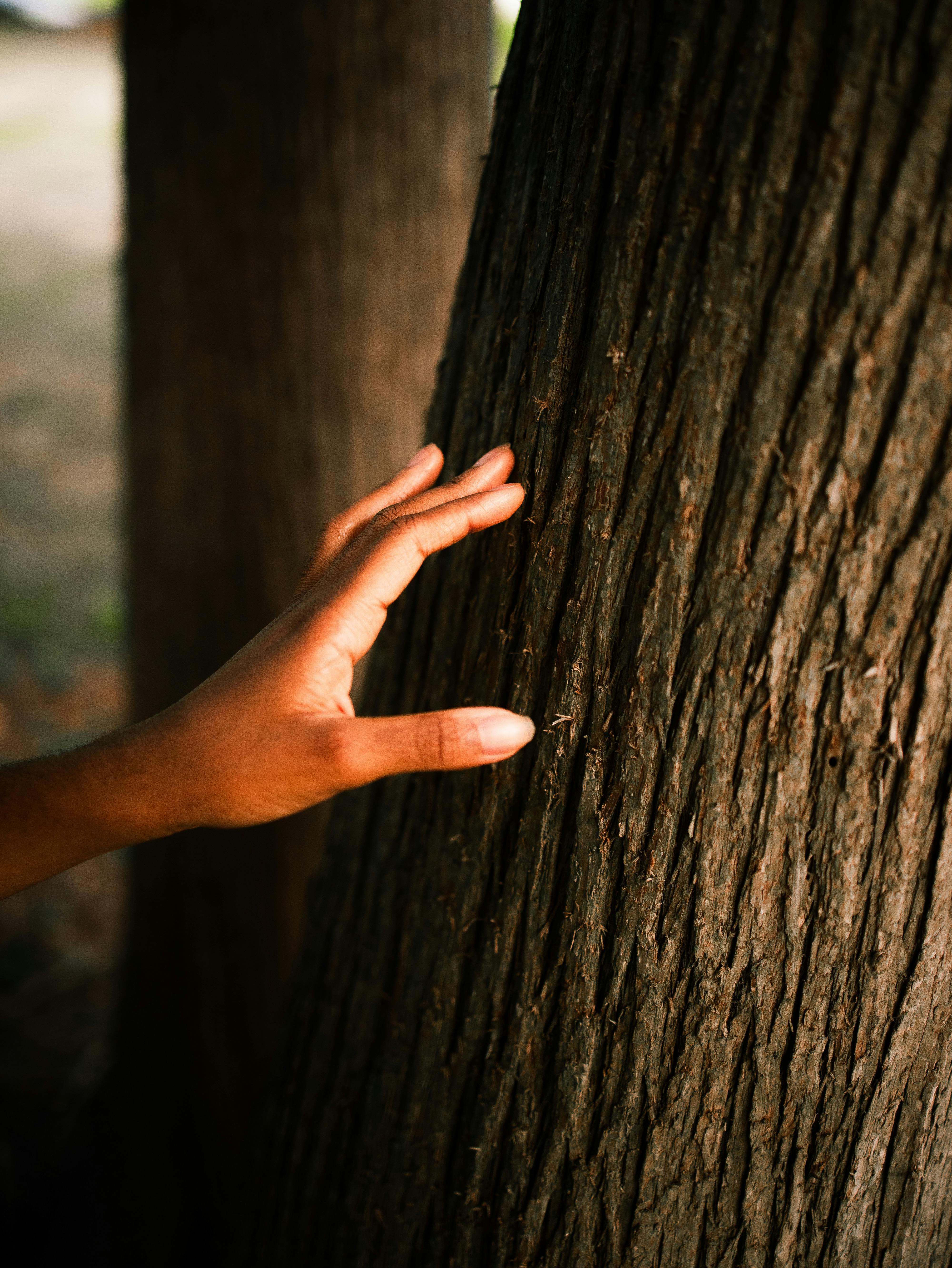 Calm Earthy Photos, Download The BEST Free Calm Earthy Stock Photos ...