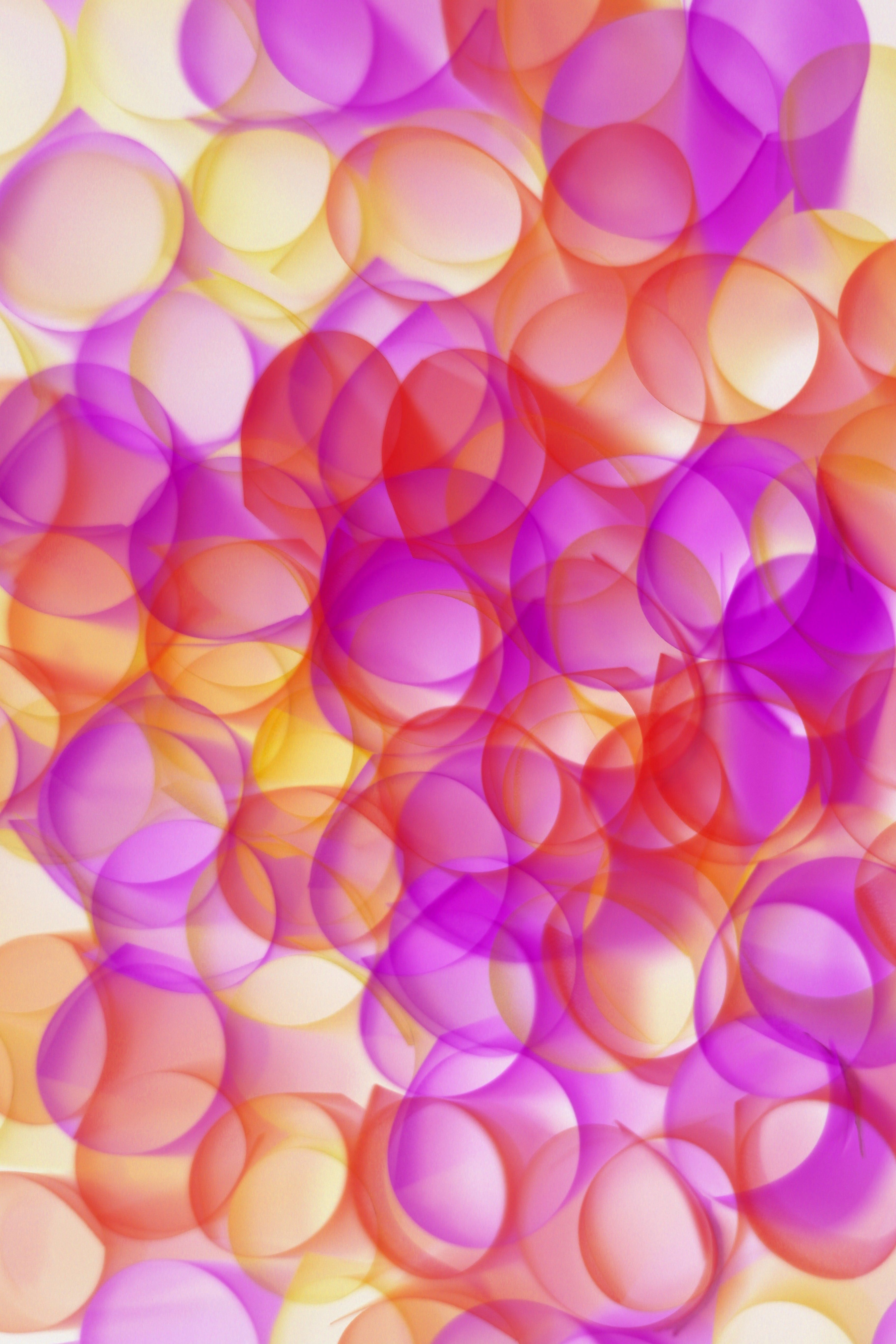 Circle Photos, Download The BEST Free Circle Stock Photos & HD Images