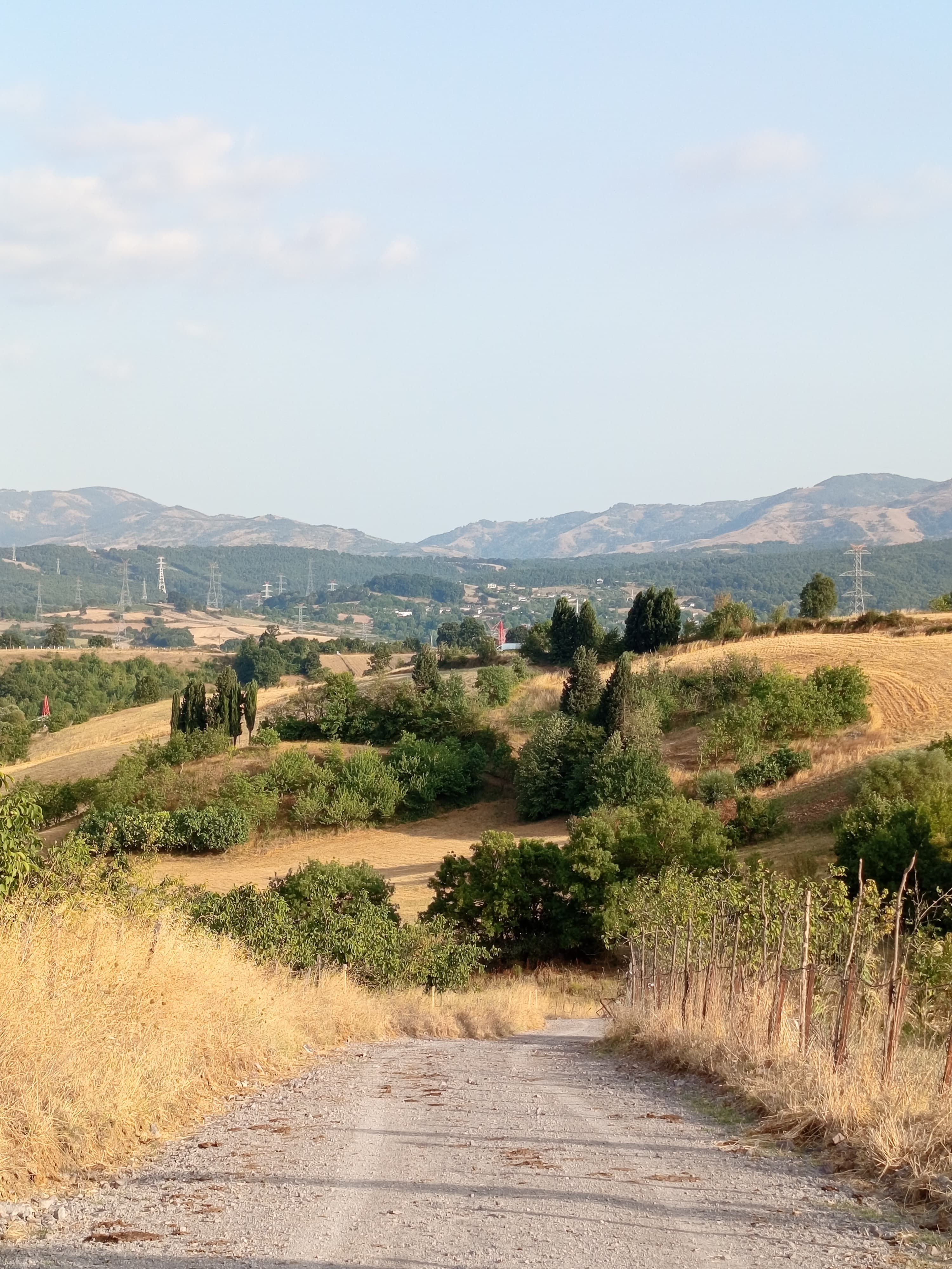 Scenic Countryside Pathway with Rolling Hills · Free Stock Photo