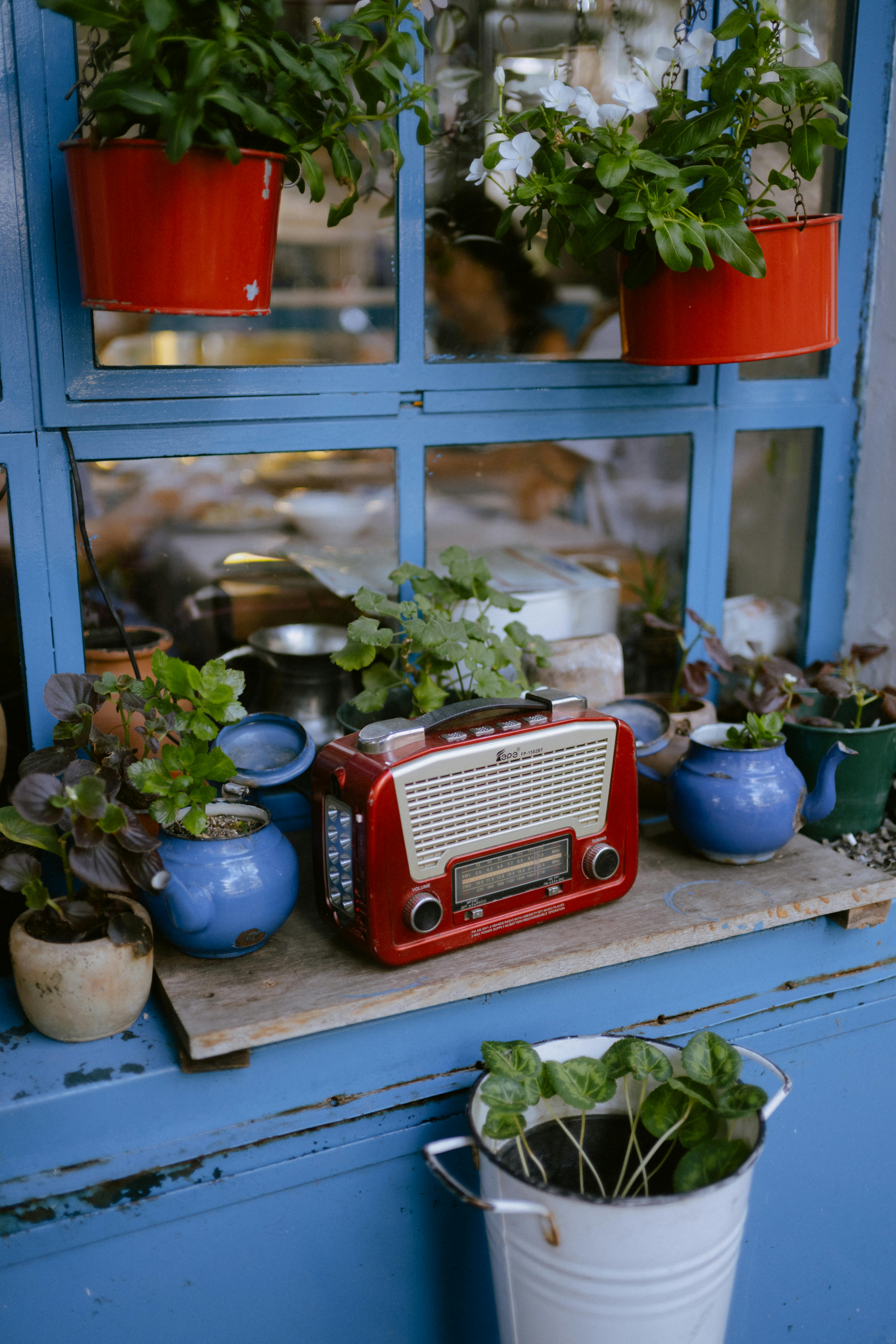 Cute Pfp Photos, Download The BEST Free Cute Pfp Stock Photos & HD Images