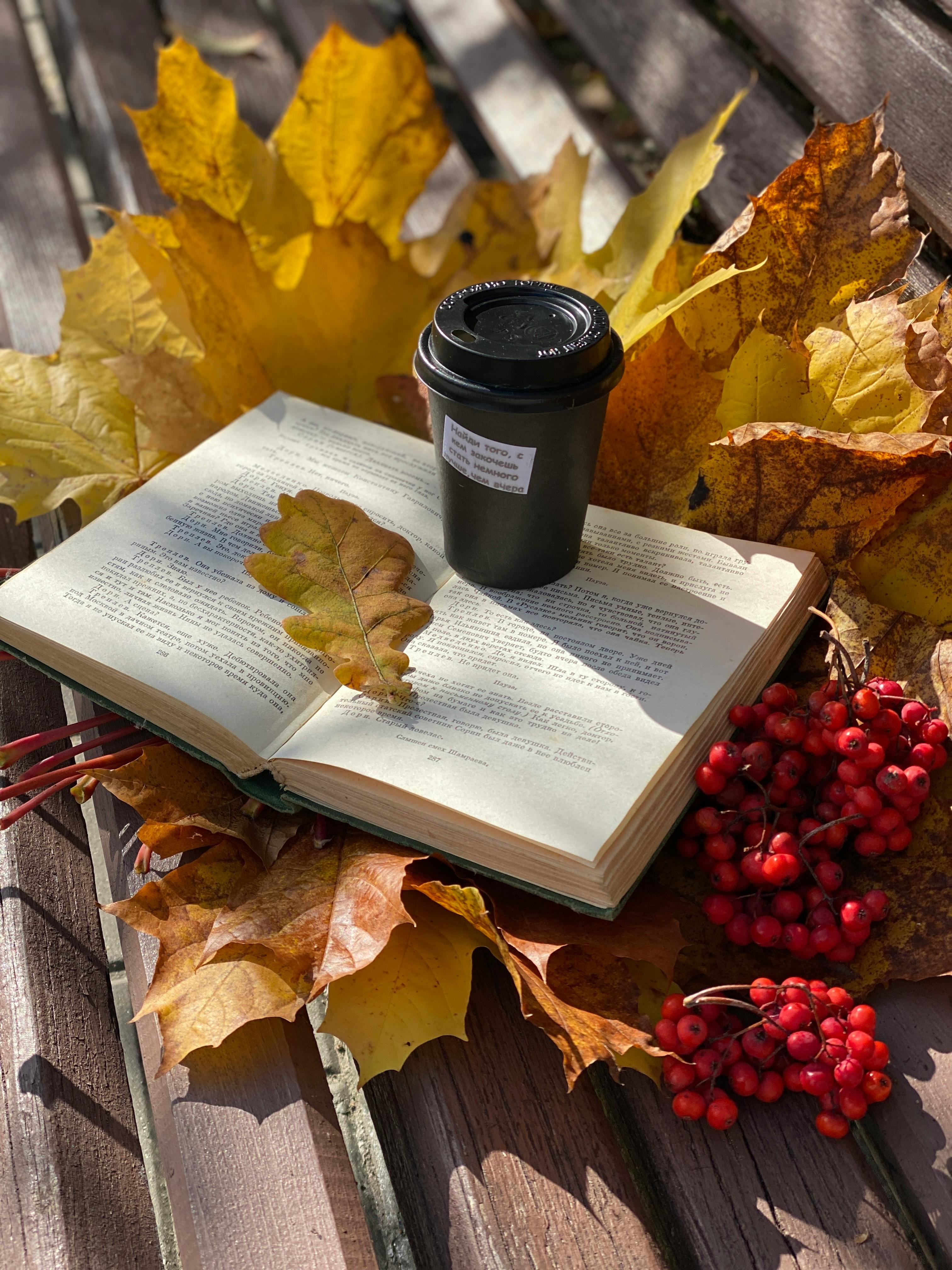 Artificial+Spiral+Hill+In+Sydney+Olympic+Park,+Australia Photos ...