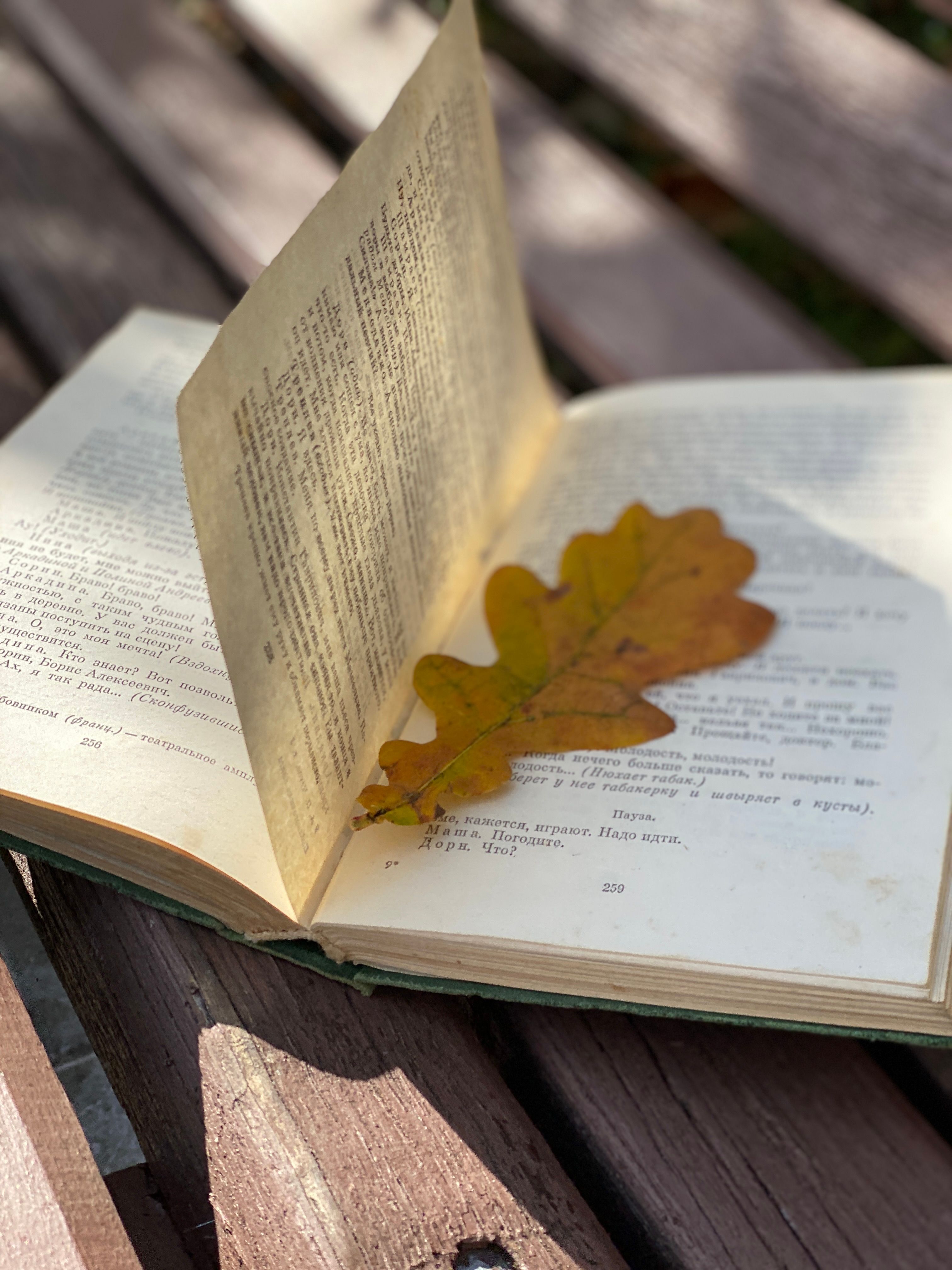 Book Pages Photos, Download The BEST Free Book Pages Stock Photos & HD ...